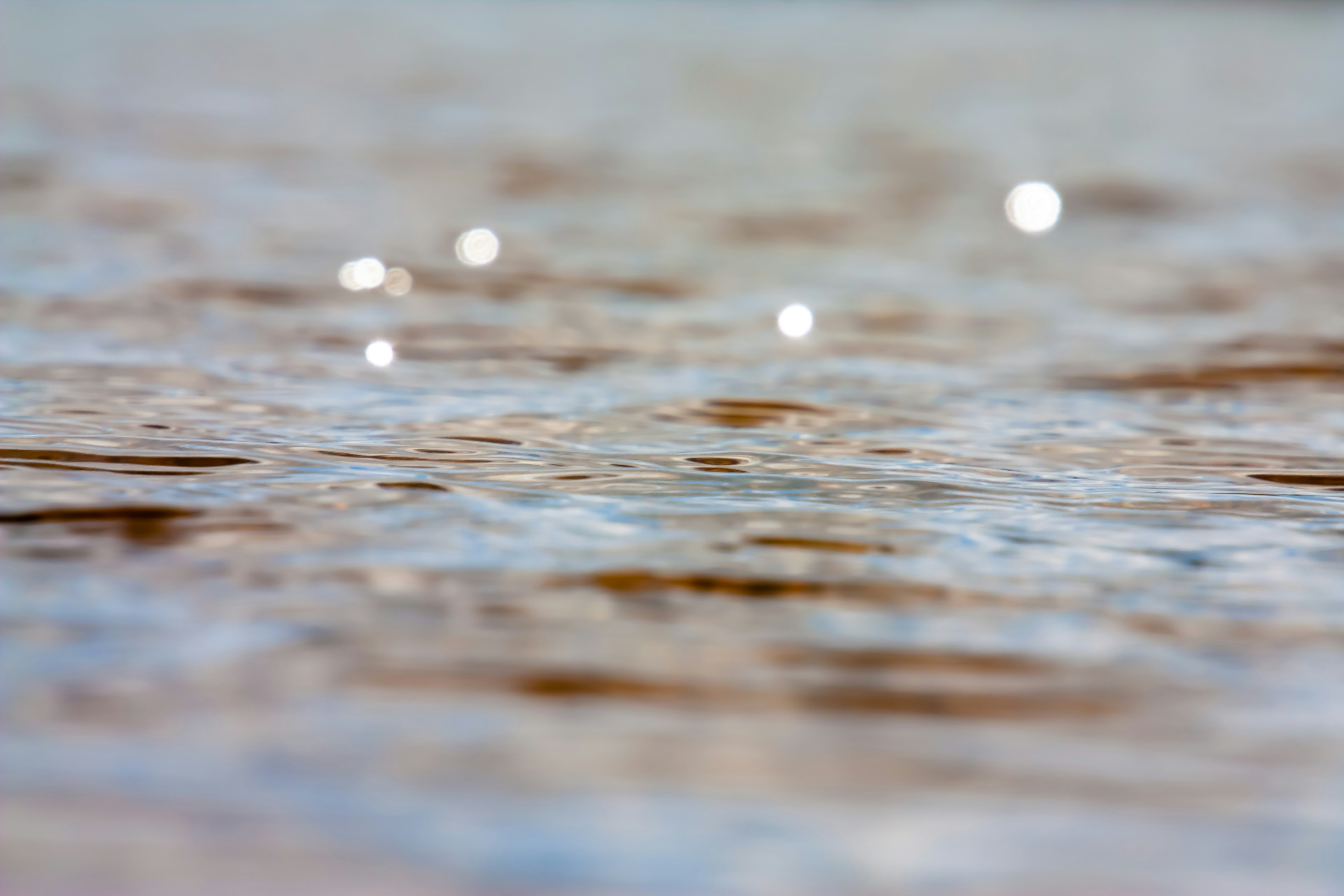 Ripple Echoes: Sunlit Drops on Quiet Water