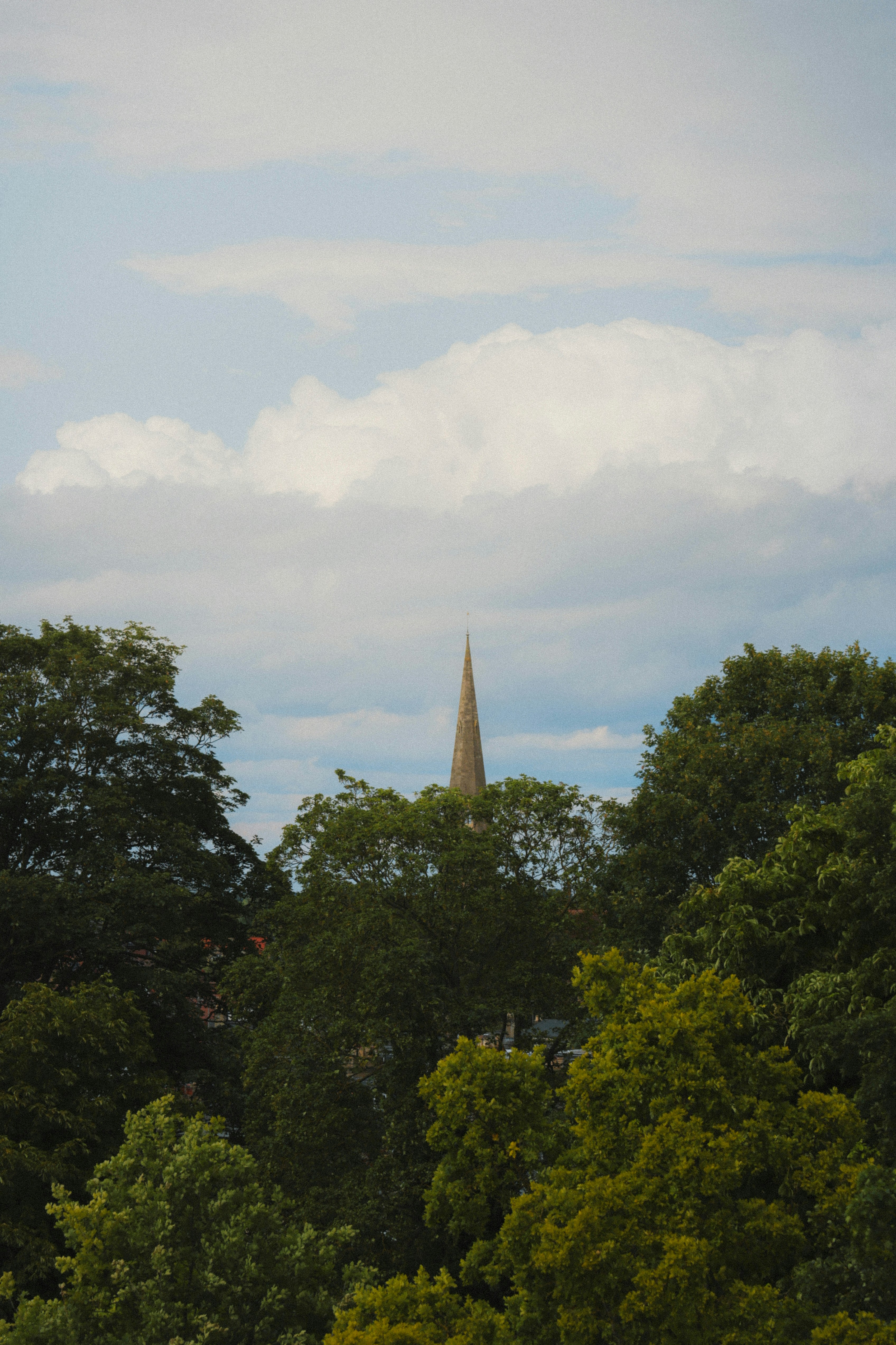 Spire Peaks Through the Canopy