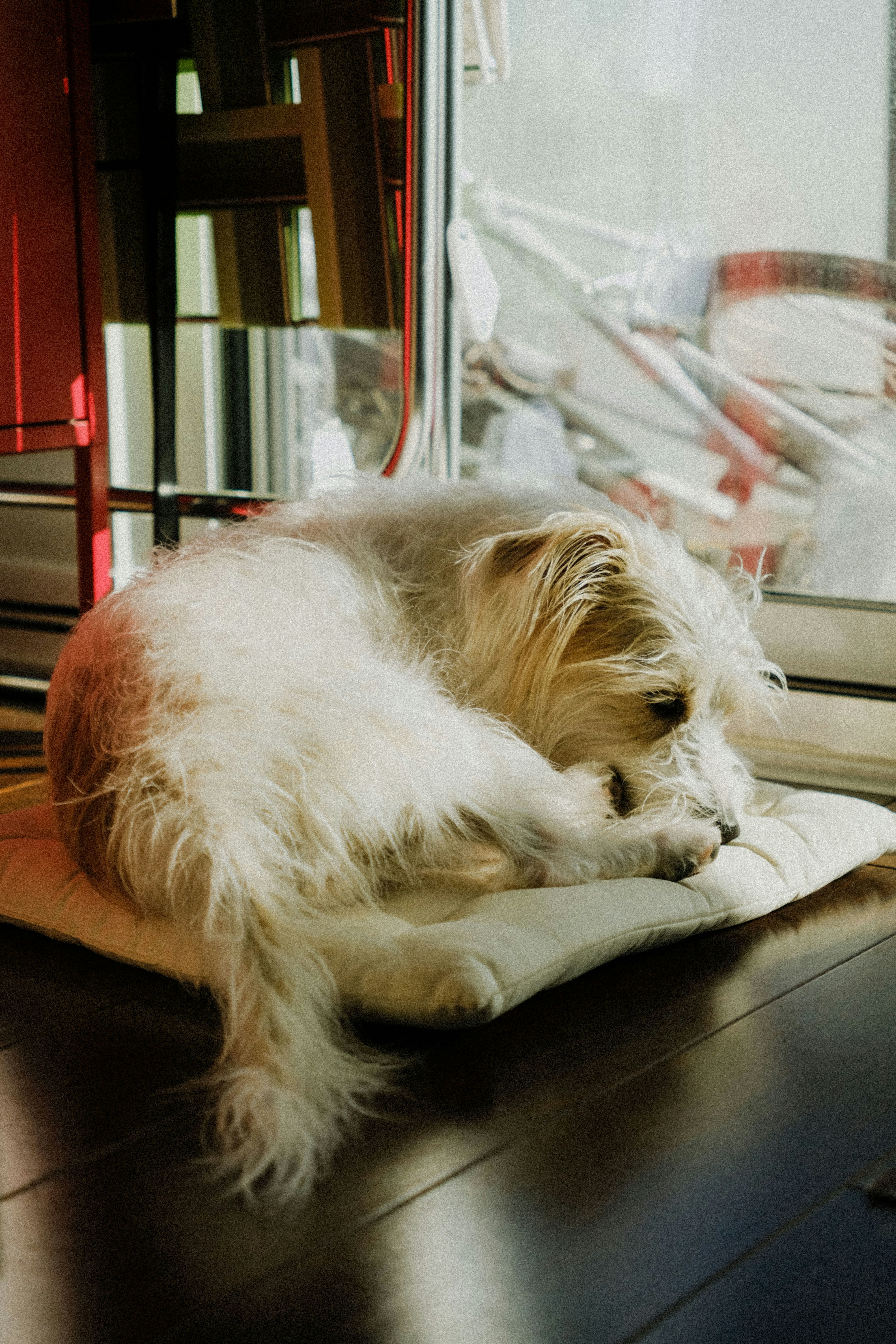 Quiet Nap on a Cushioned Frame