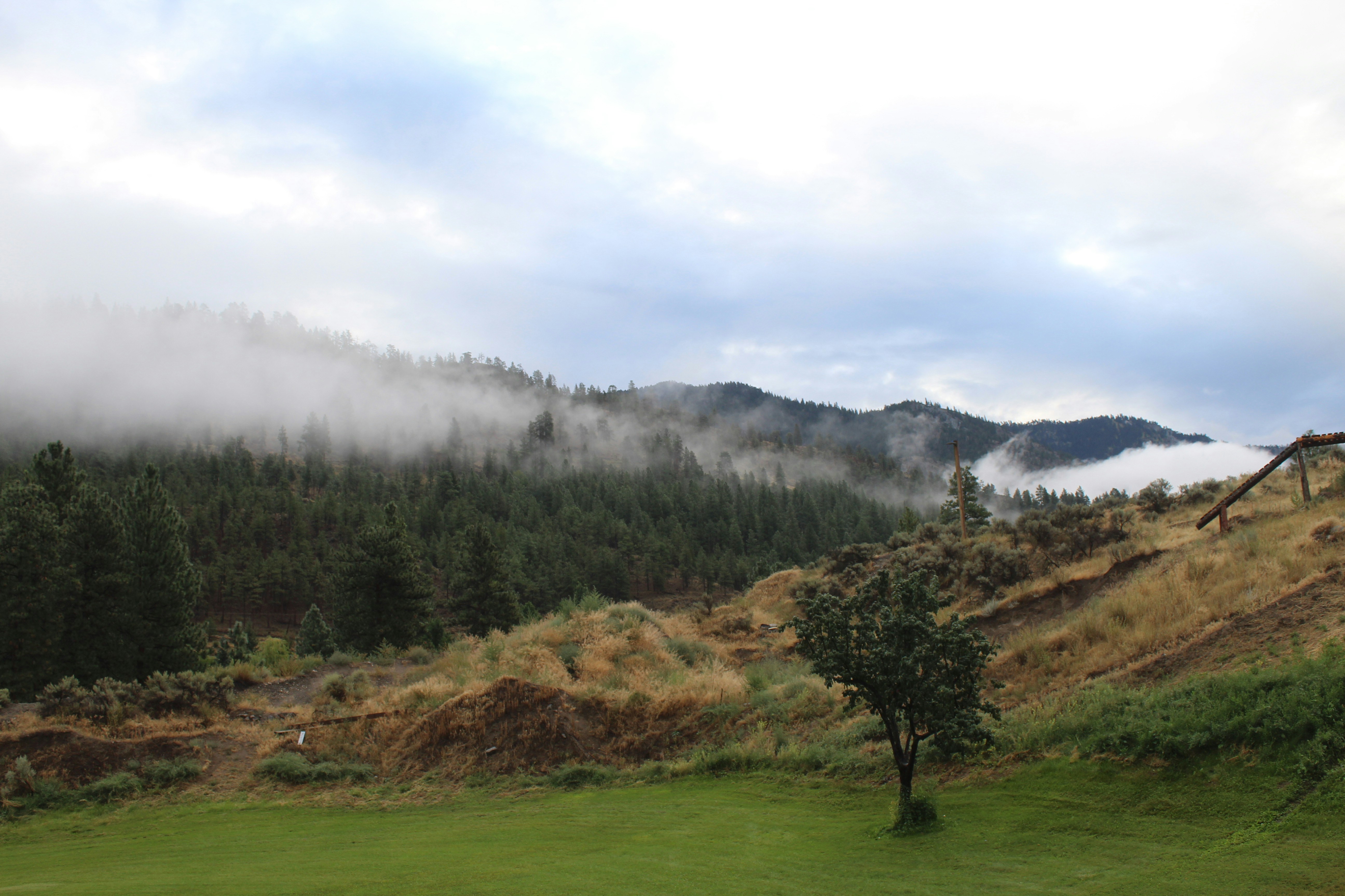 Mist over the Rolling Ridge