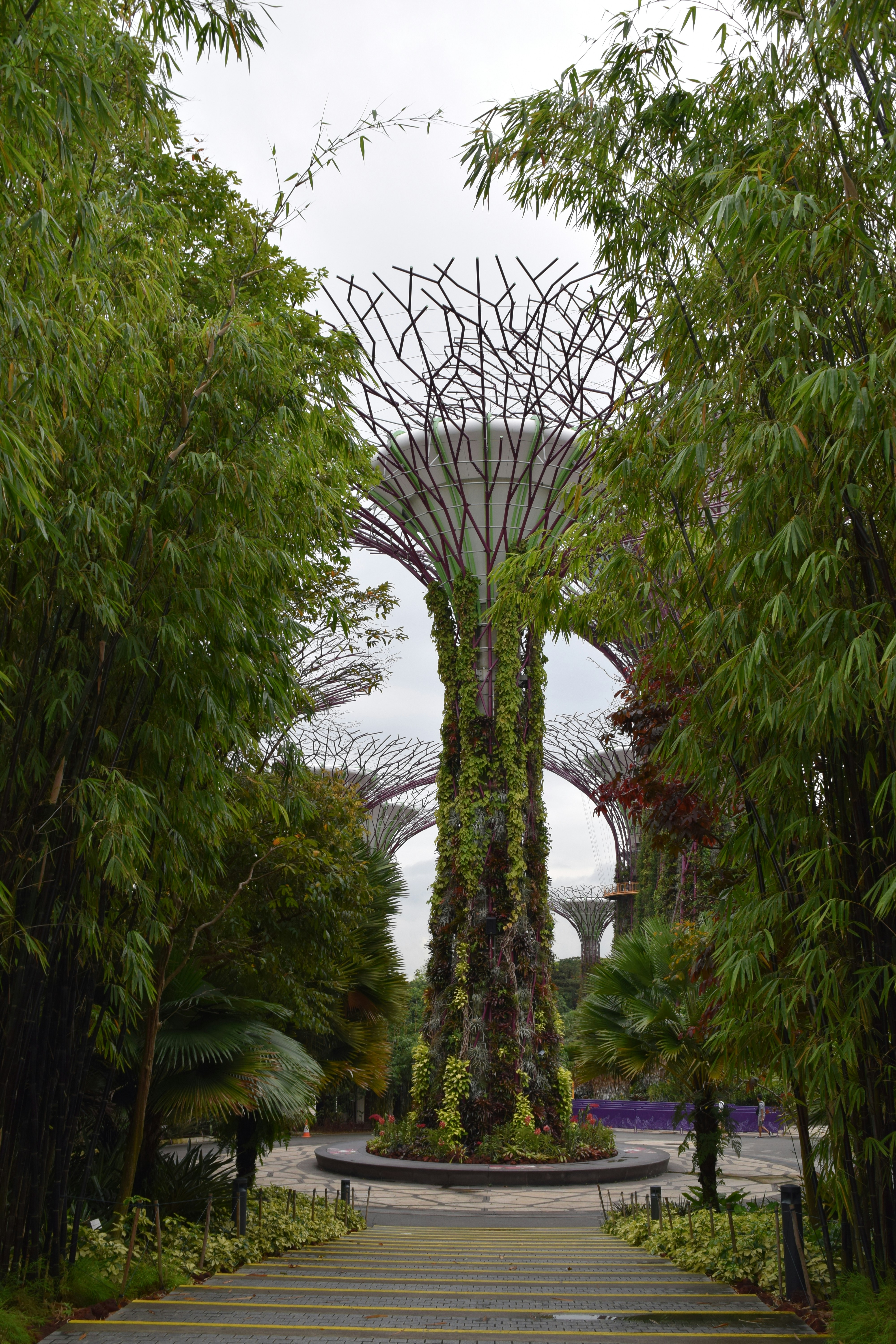 Vertical Arbor Emergence: A Garden of Living Structures Framed by Towering Greenery