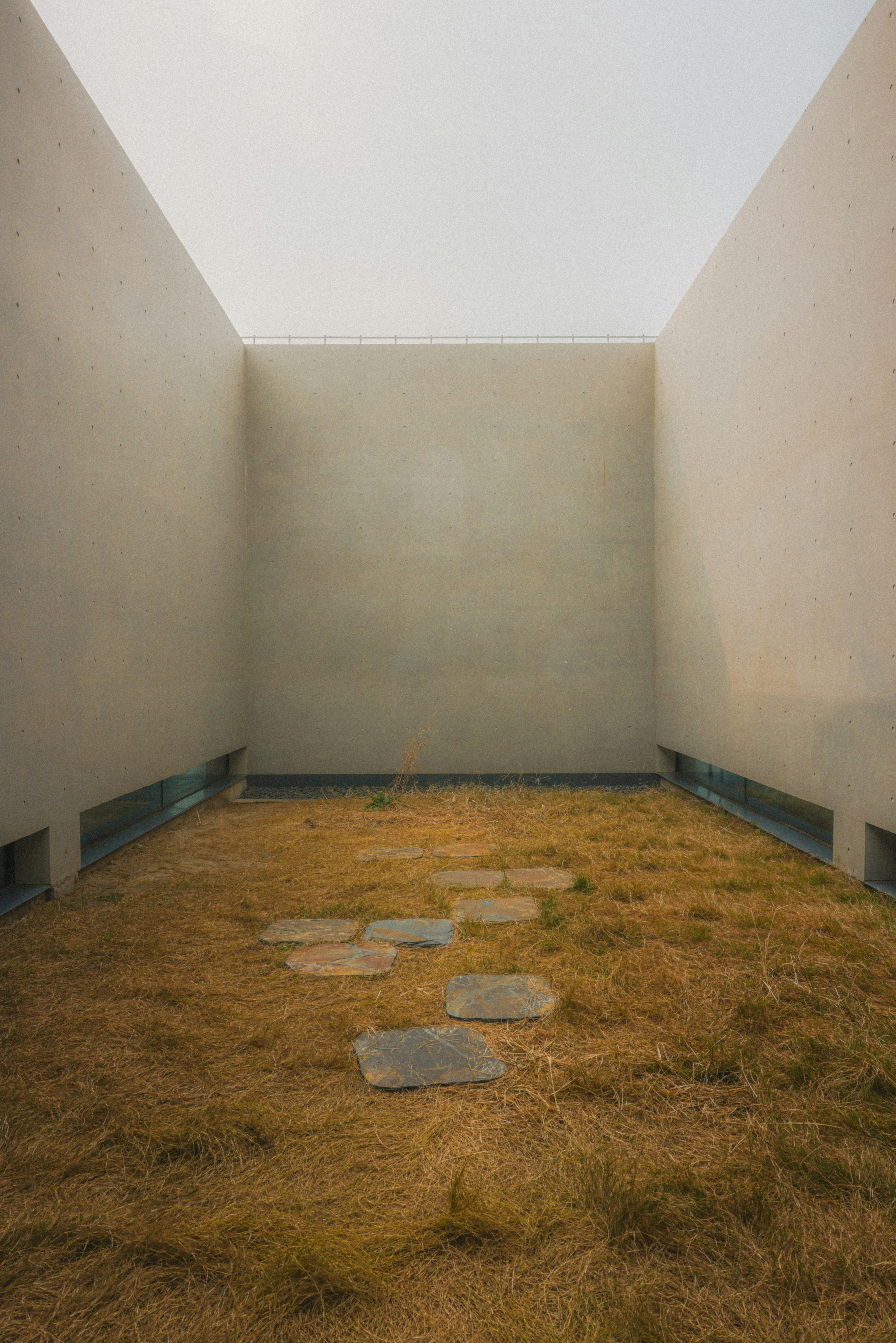 Minimalist Atrium Pathway: Grass and Stone Through Concrete Walls