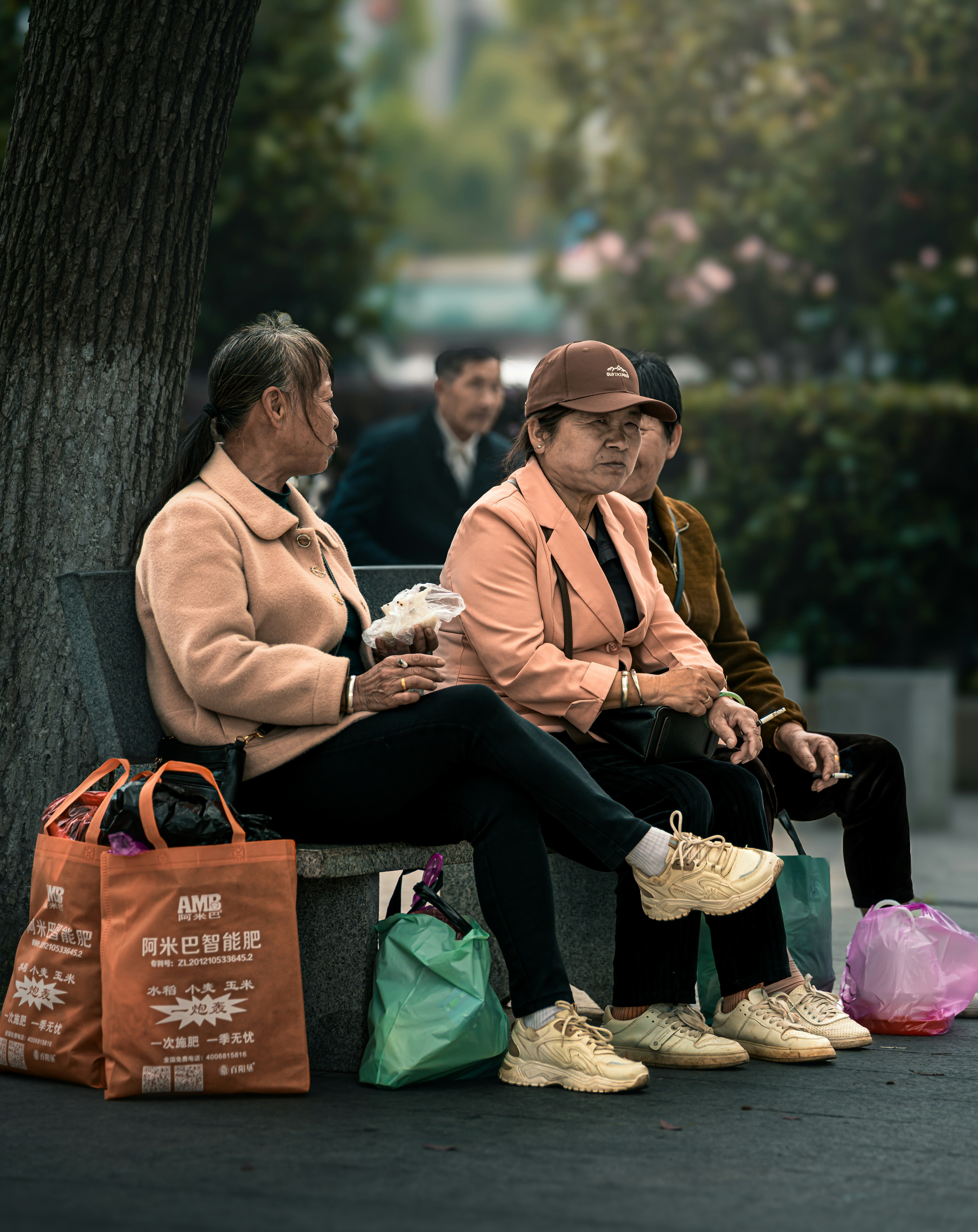 Across the Park Bench: Quiet Conversation under a Large Tree