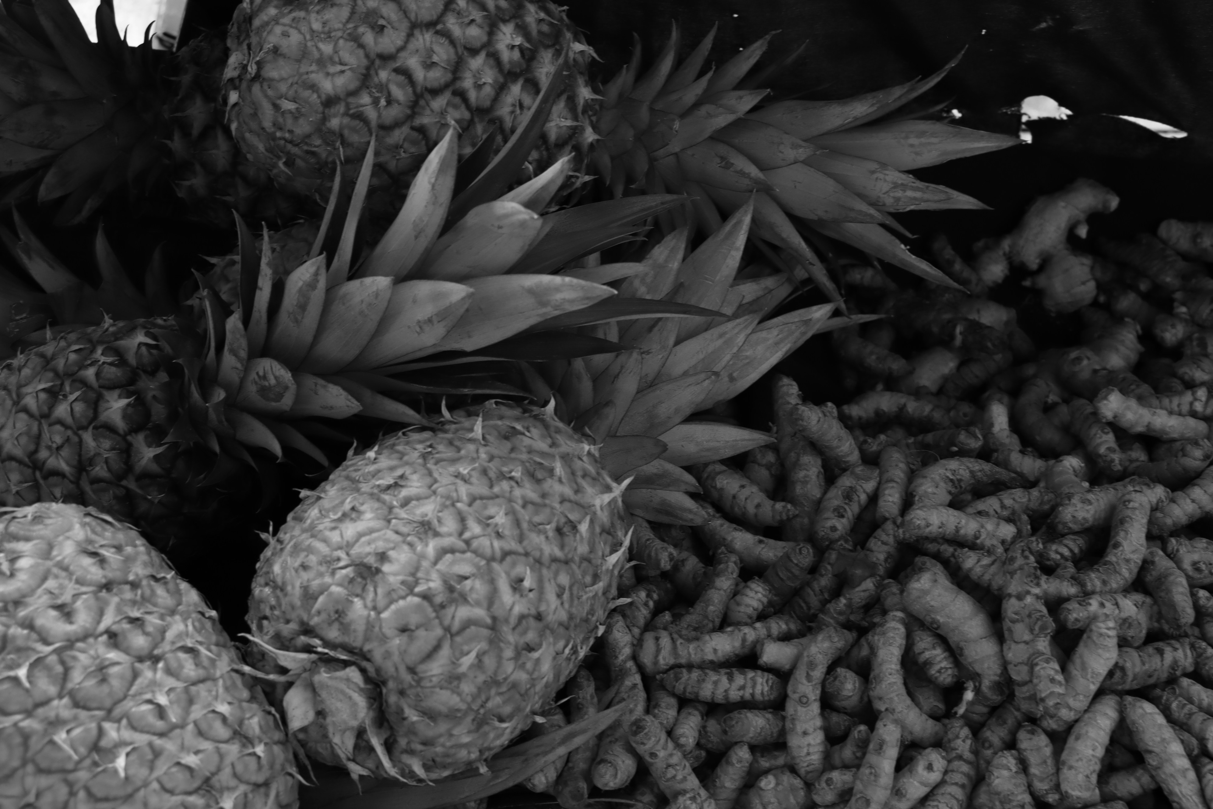 Pineapple Parade in Monochrome