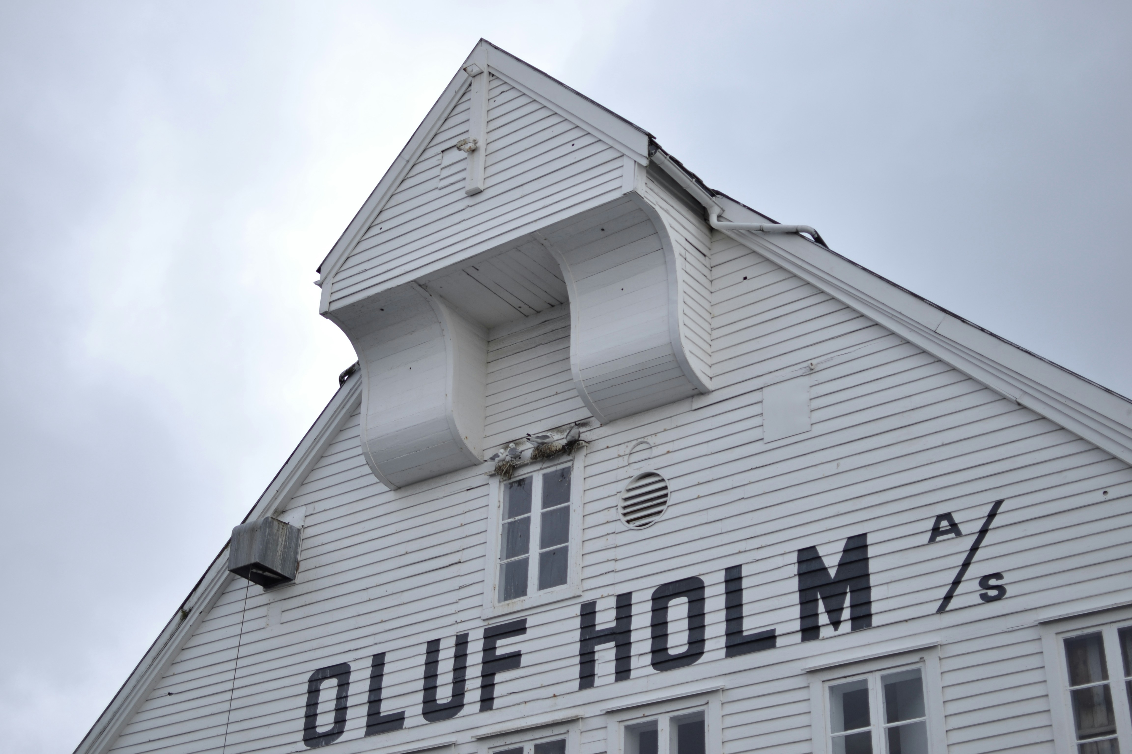 Olde Harbor Silhouette: the Weathered Facade of Oluf Holm