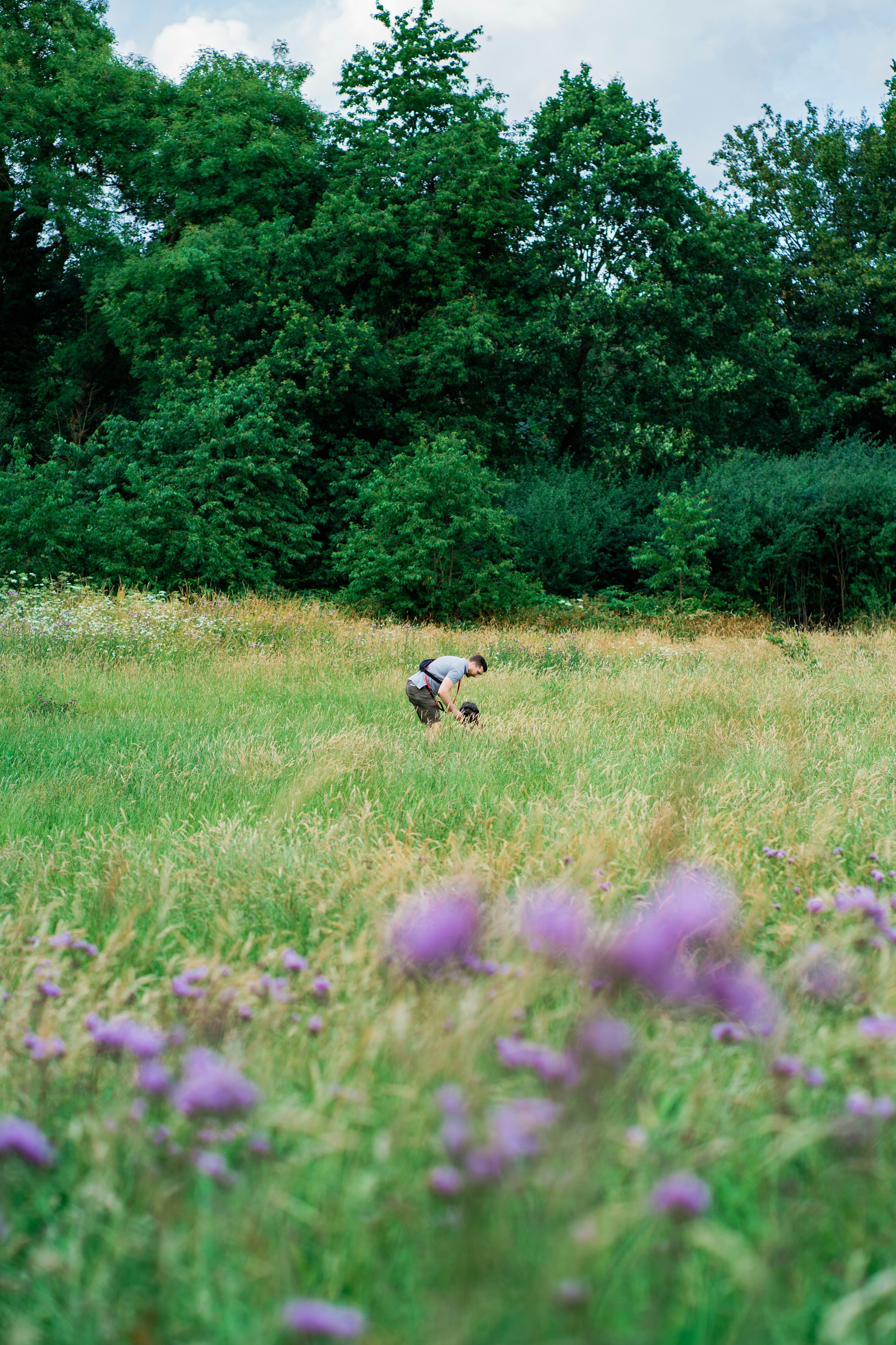 Fieldwork in the Meadow: A Person Kneels Among Wildflowers