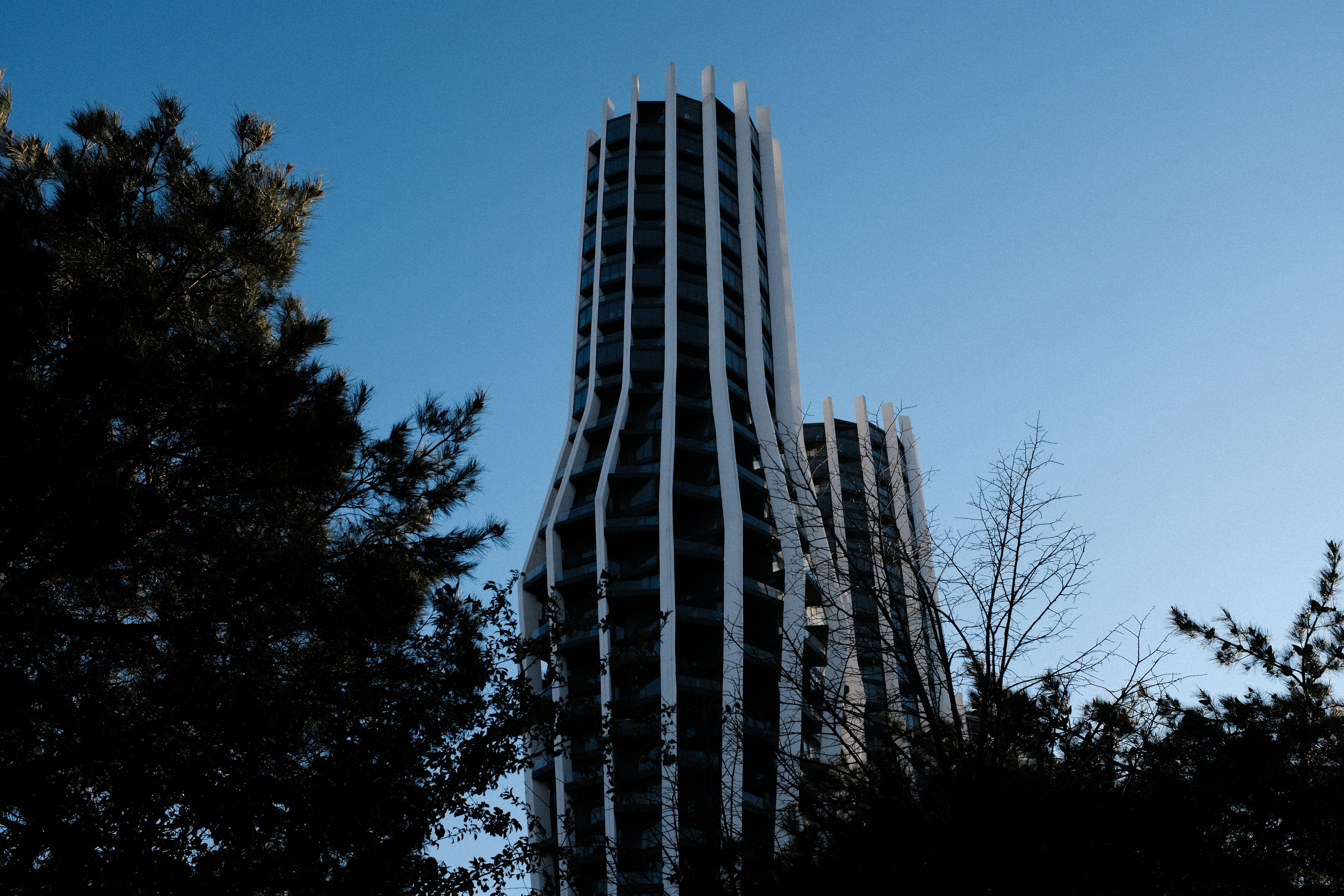 Vertical Cathedral: A Skyscraper Emerges Between silhouette and Sky