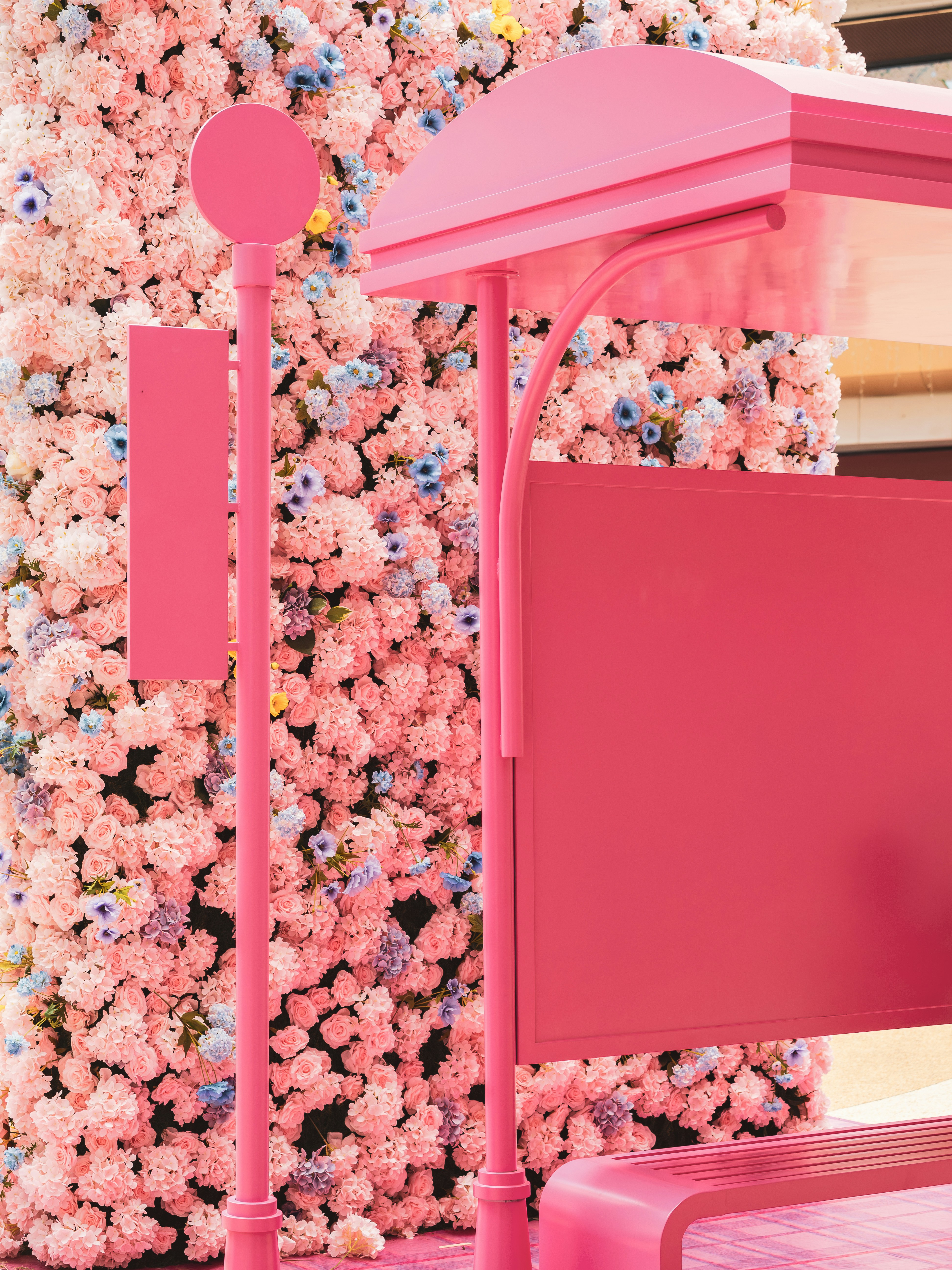 Pink Transit: A Floral Milieu at Centerstage