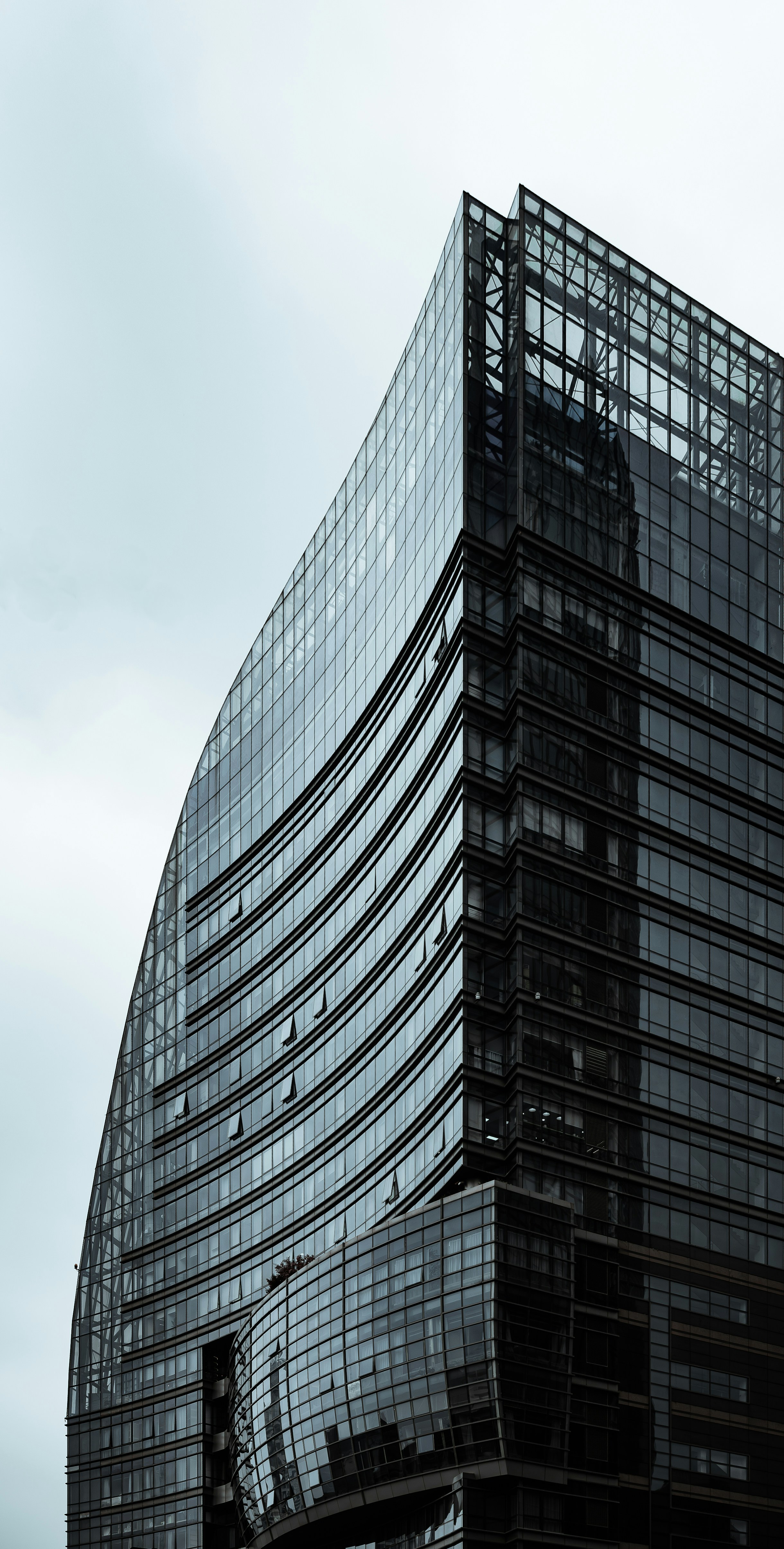 Arched Edge: A Glass Curve Crowned by Steel