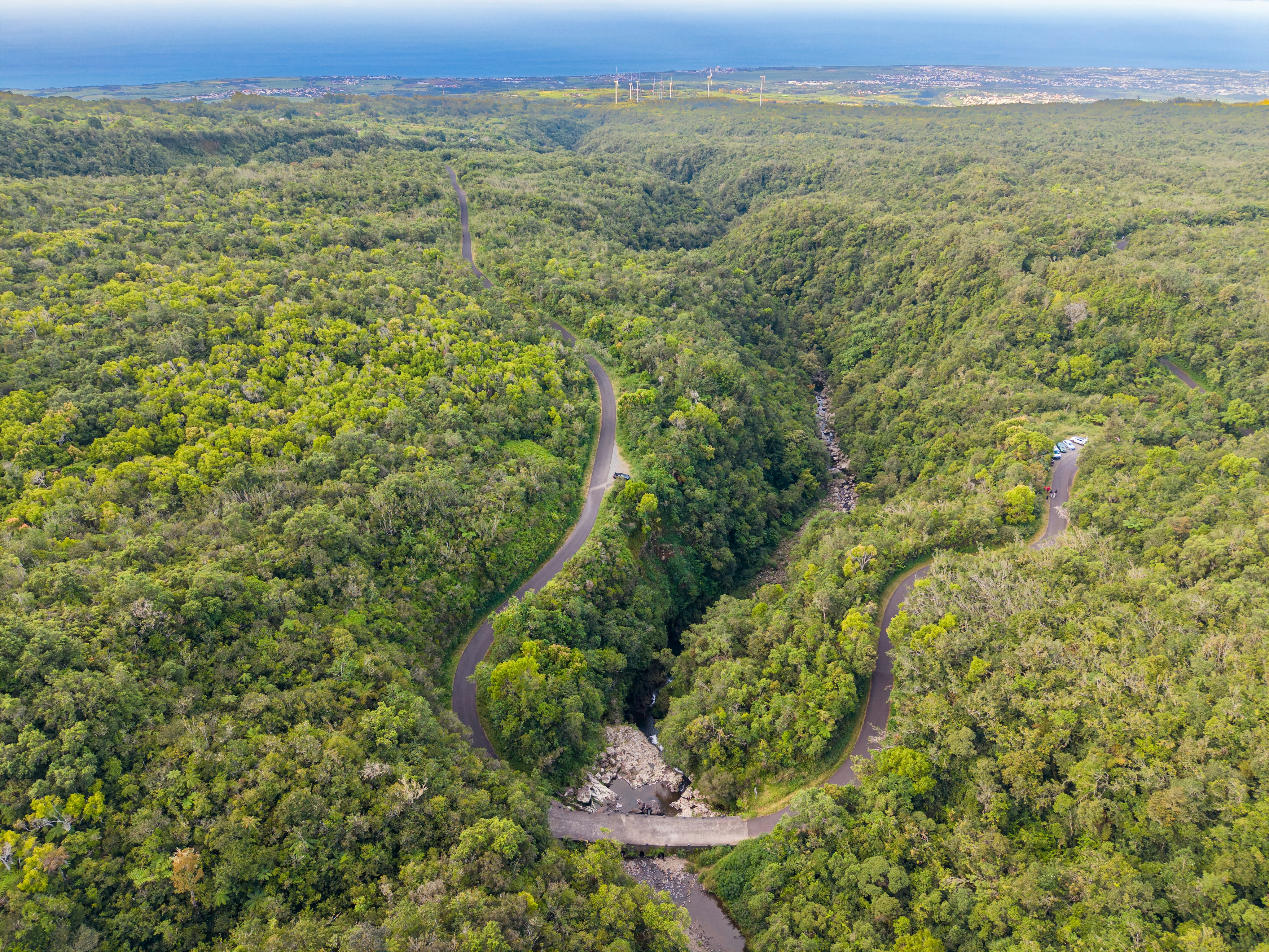 Winding Forest Ribbon: Aerial View of a Meandering Road Through Dense Canopy