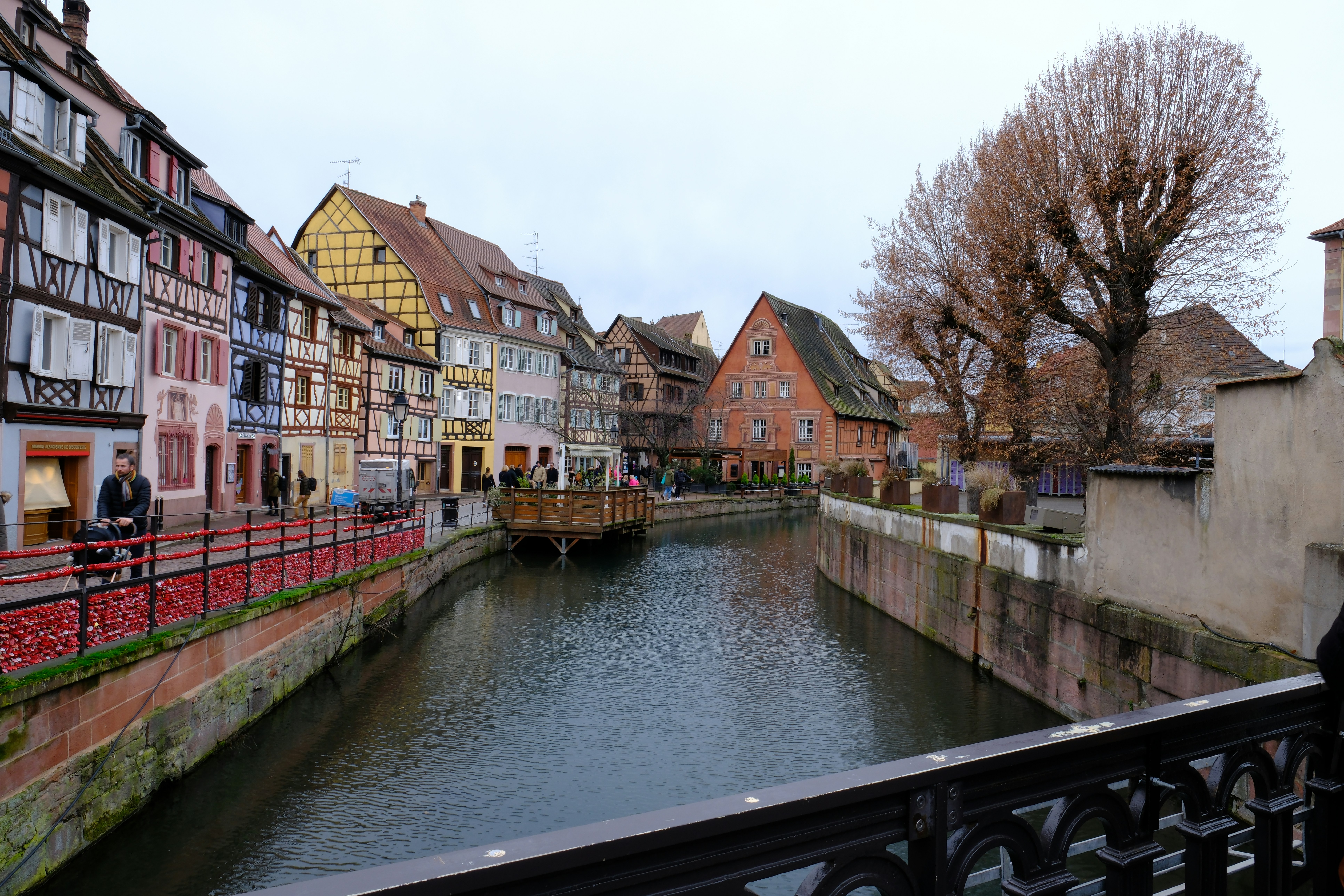 Canal Lane: Colorful Tudor Facades and a Cedar Tree by the Waterway