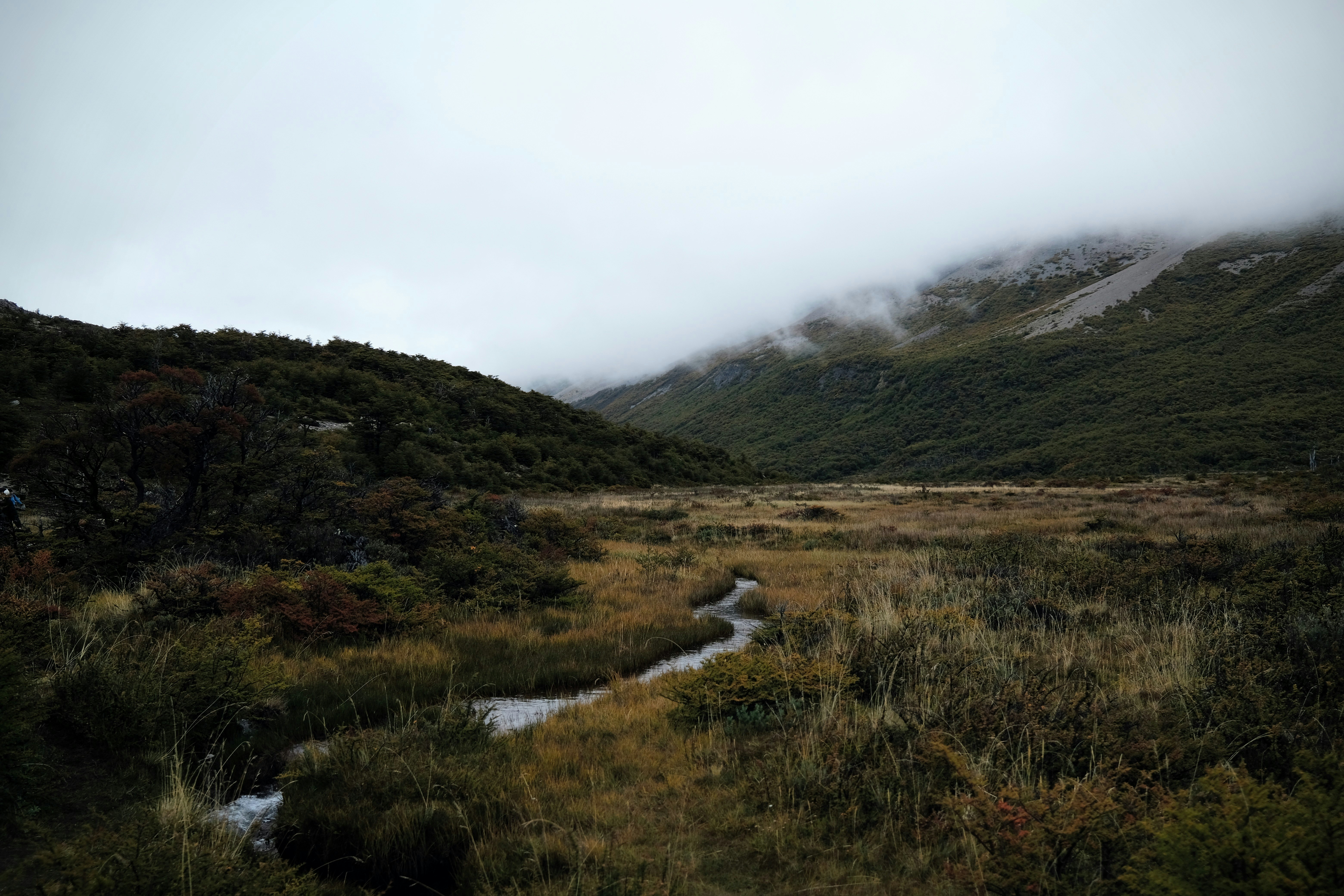 Low-Cloud Valley with Meandering Stream