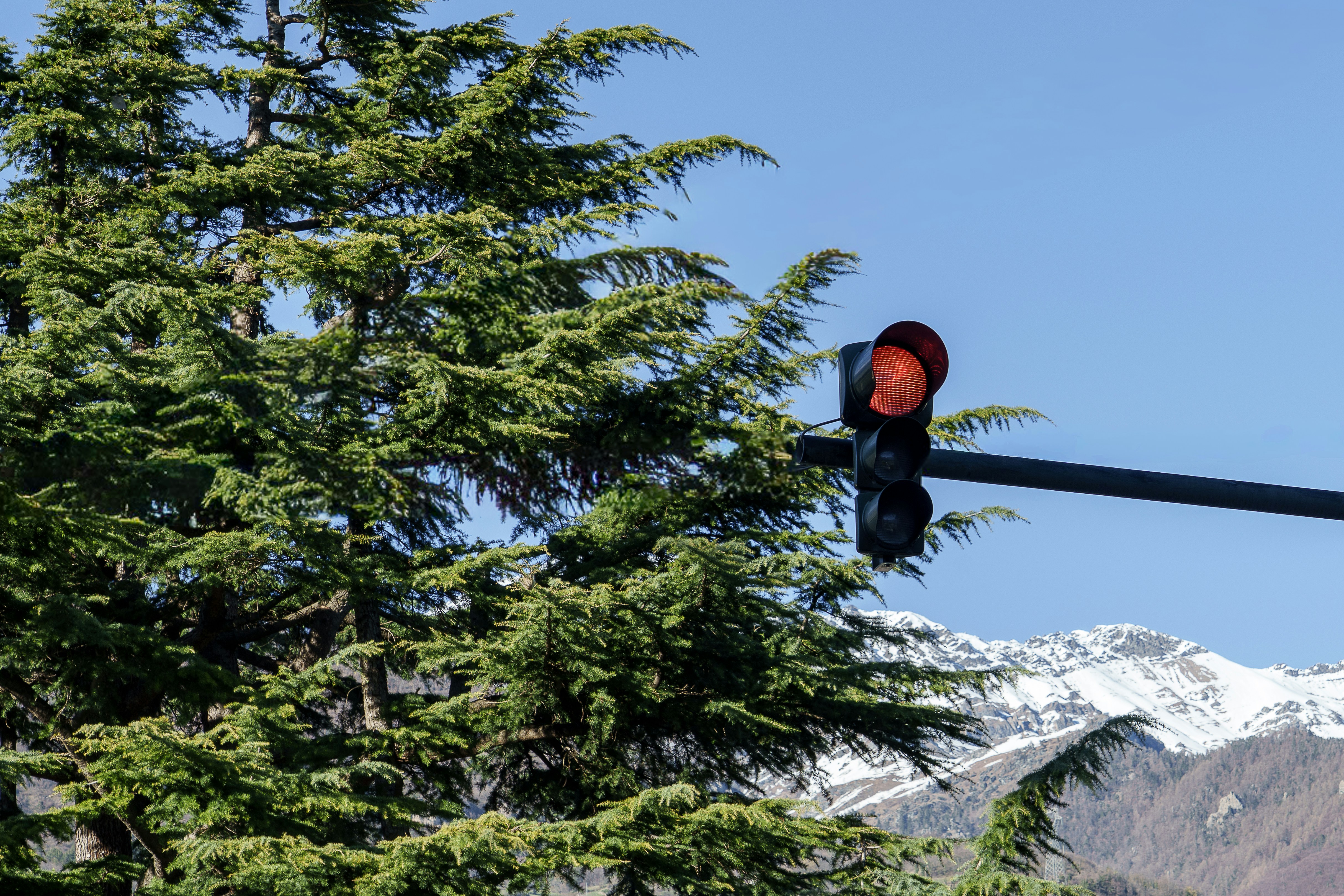 Red Signal Under Snowy Peaks and Green Pines