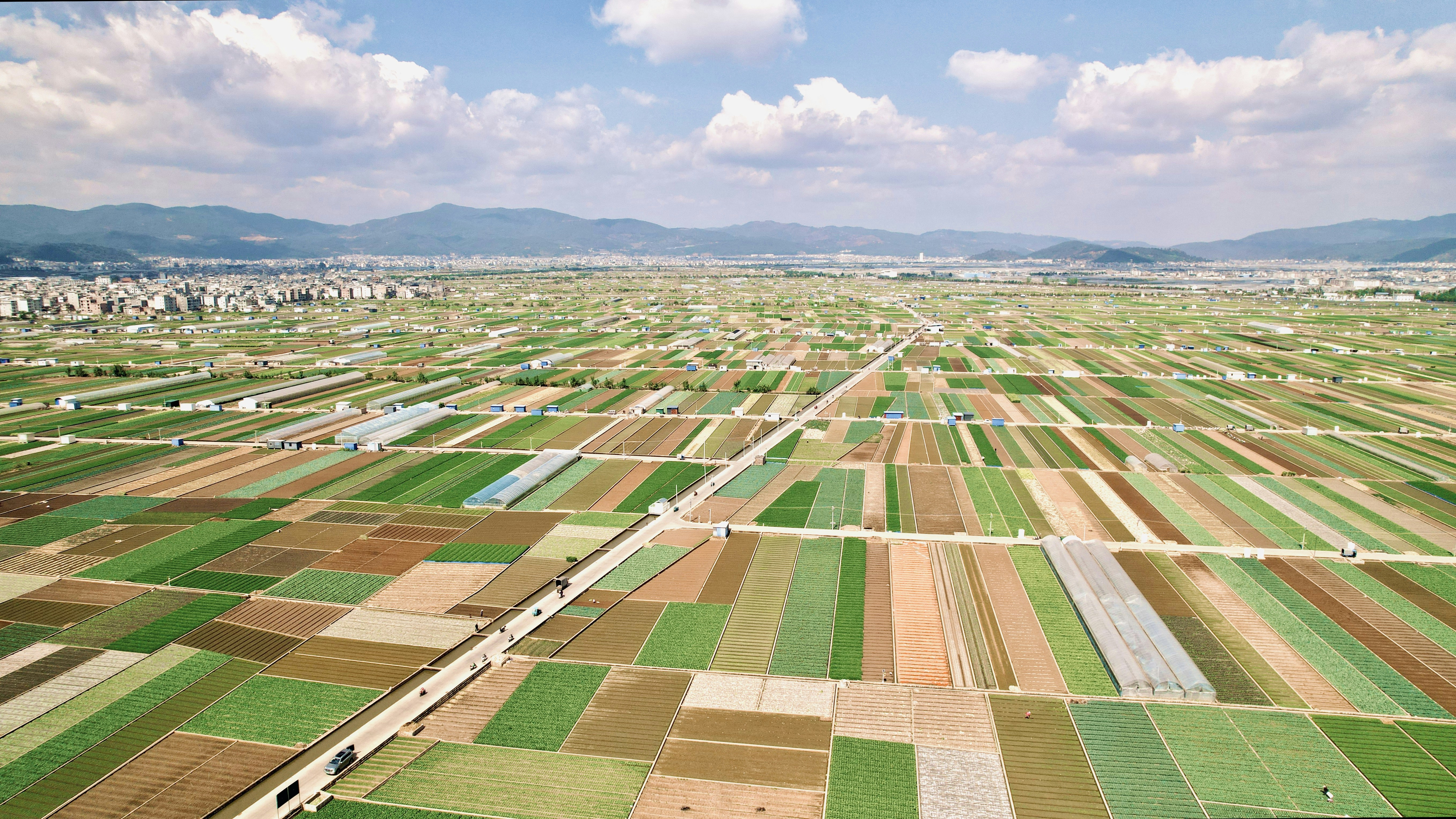 Patchwork Plains: A Skyward Quilt of Farmlands