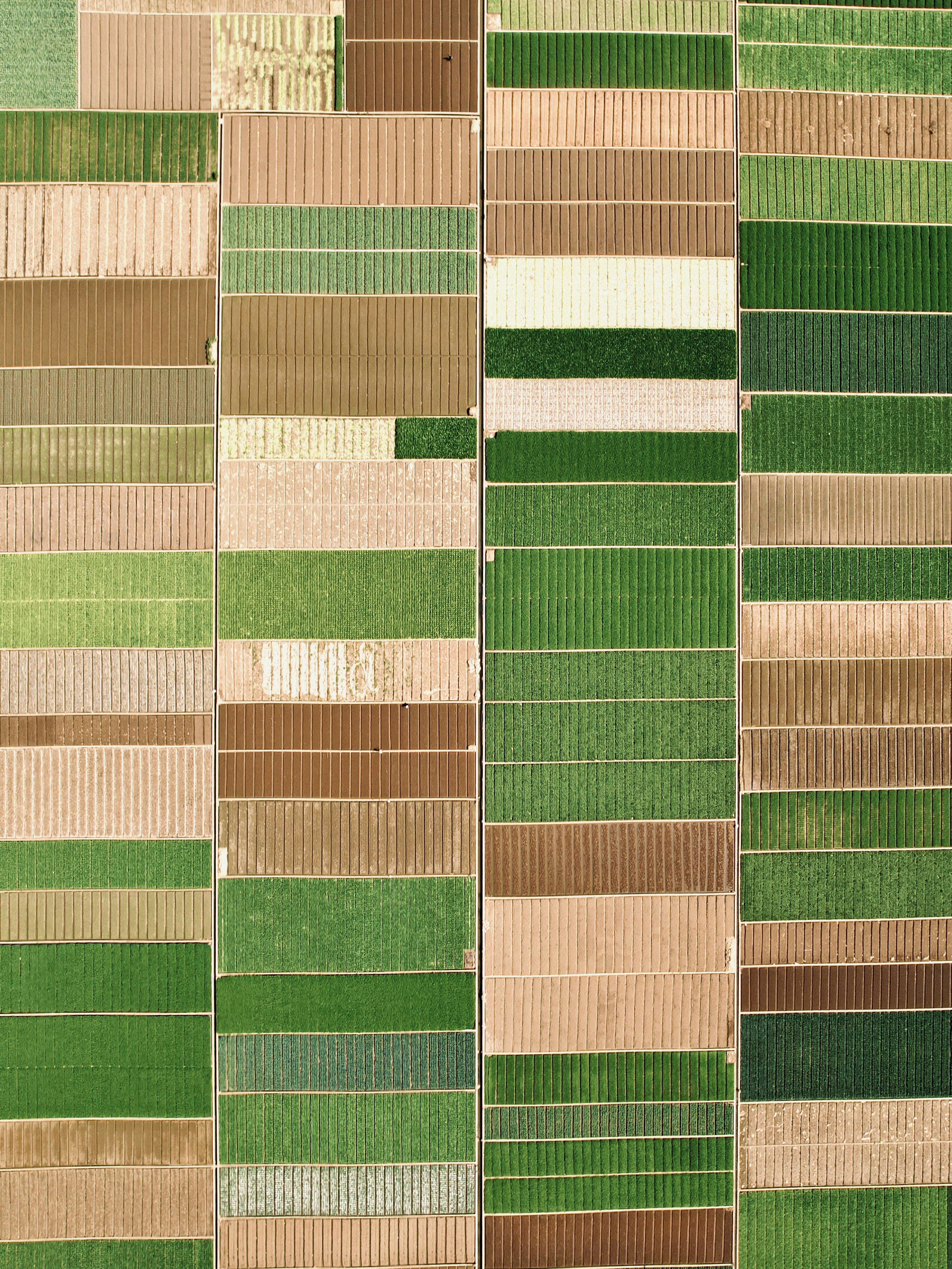Patchwork Fields: Aerial Tapestry of Green and Earth Tones