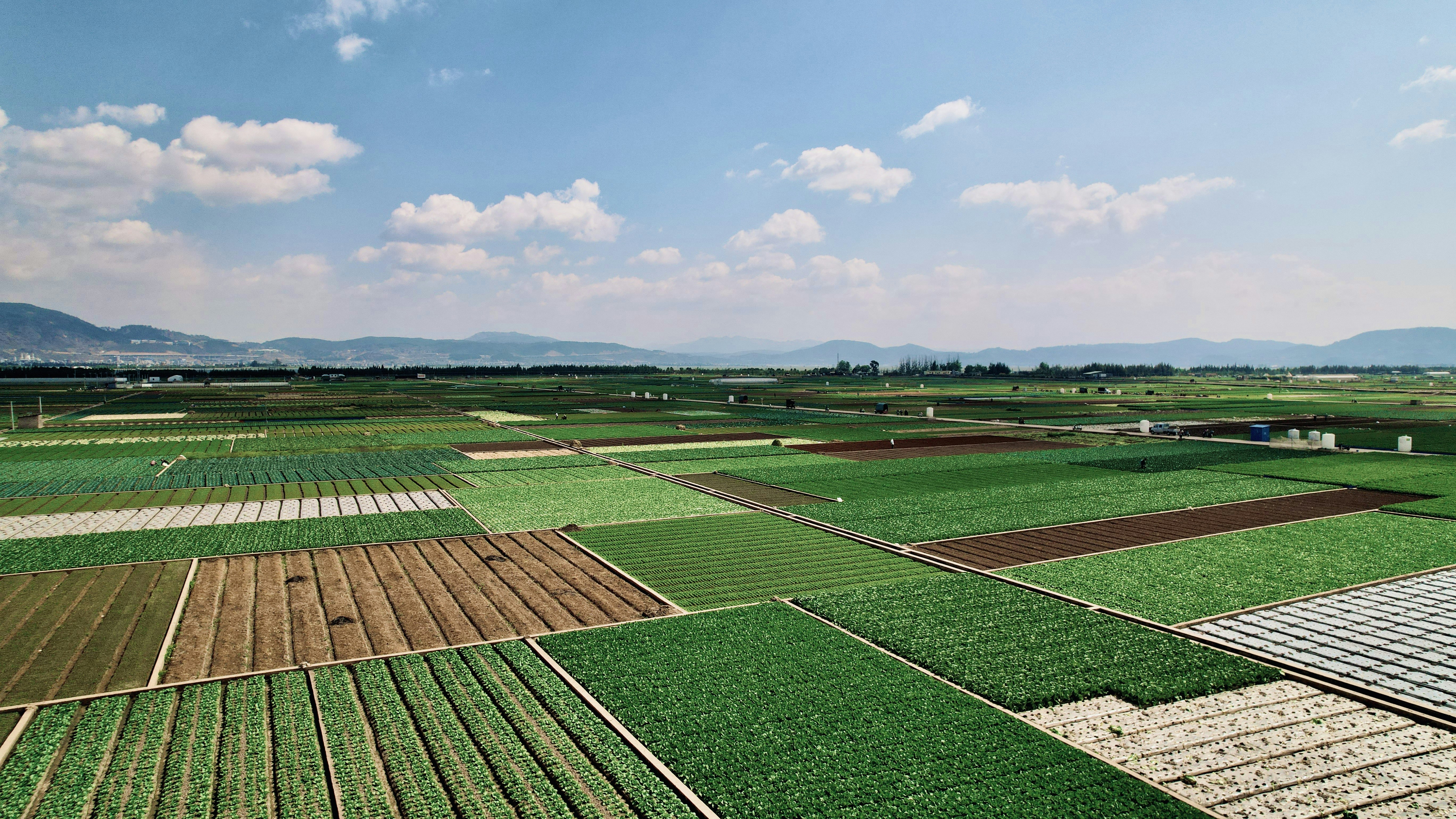 Patchwork Fields Under a Wide Blue Sky