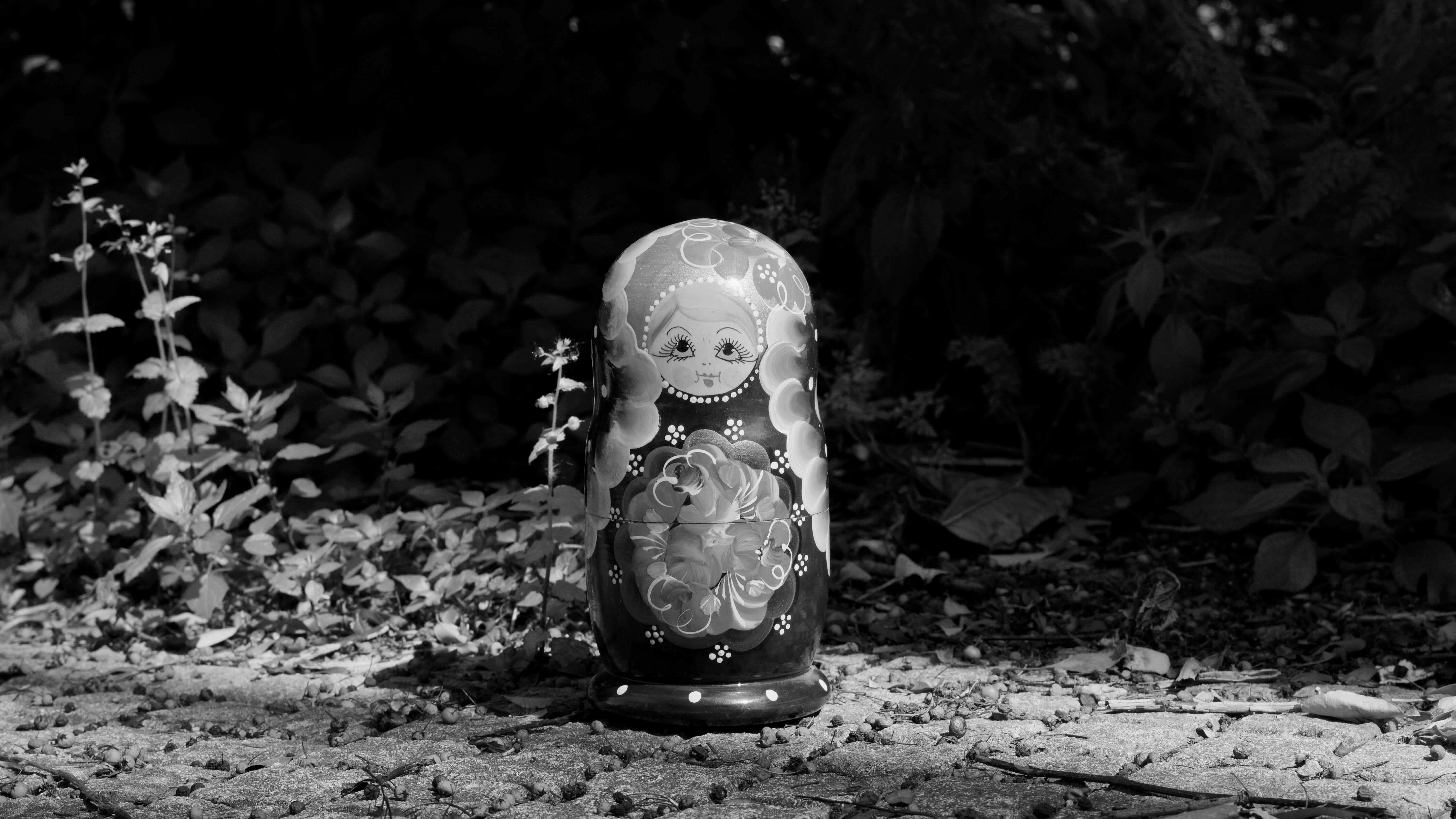 Matryoshka in the Shaded Patch
