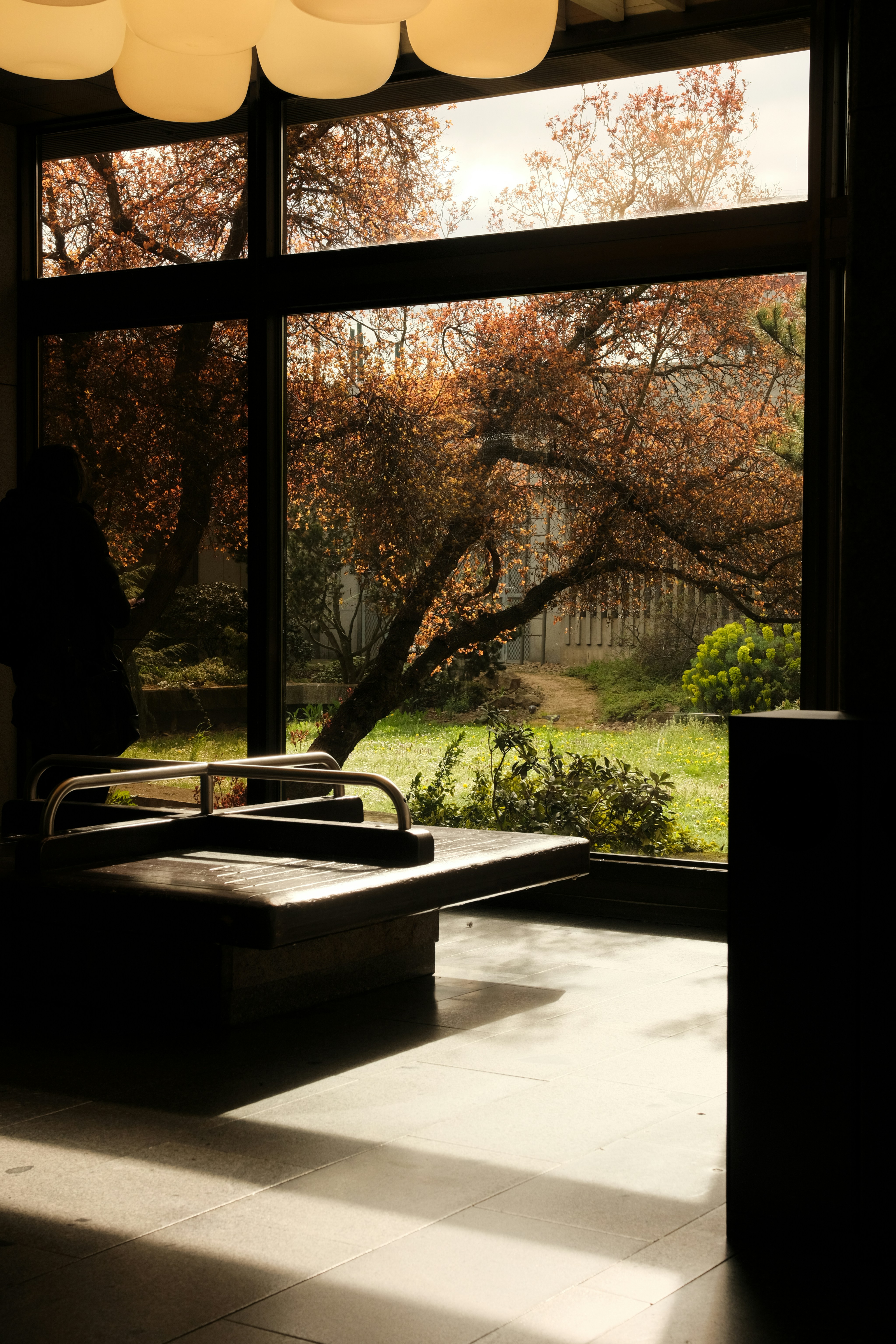 Sunlit Interior Framing a Quiet Courtyard Vista