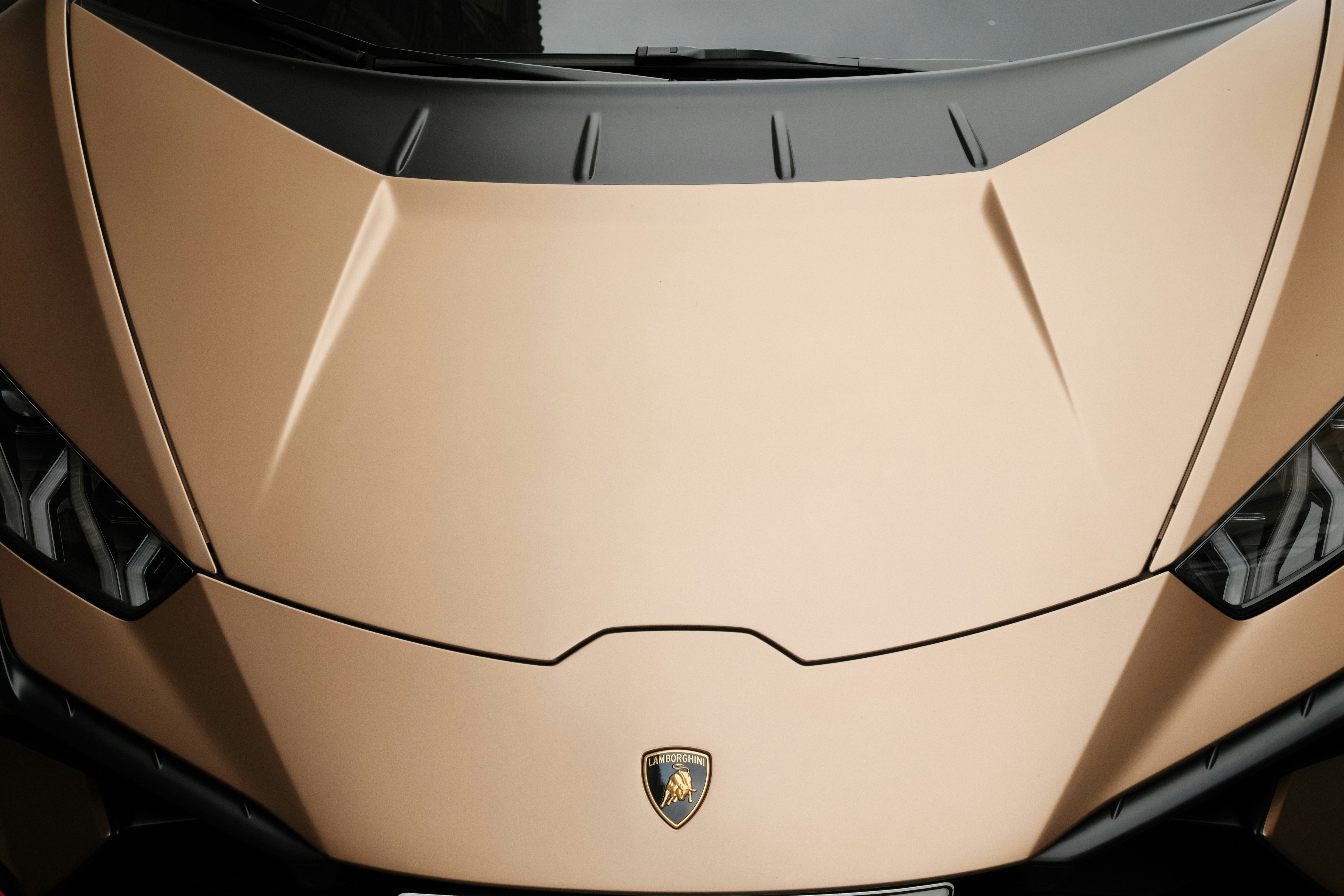 Midday gold: the Lamborghini crest on a metallic hood