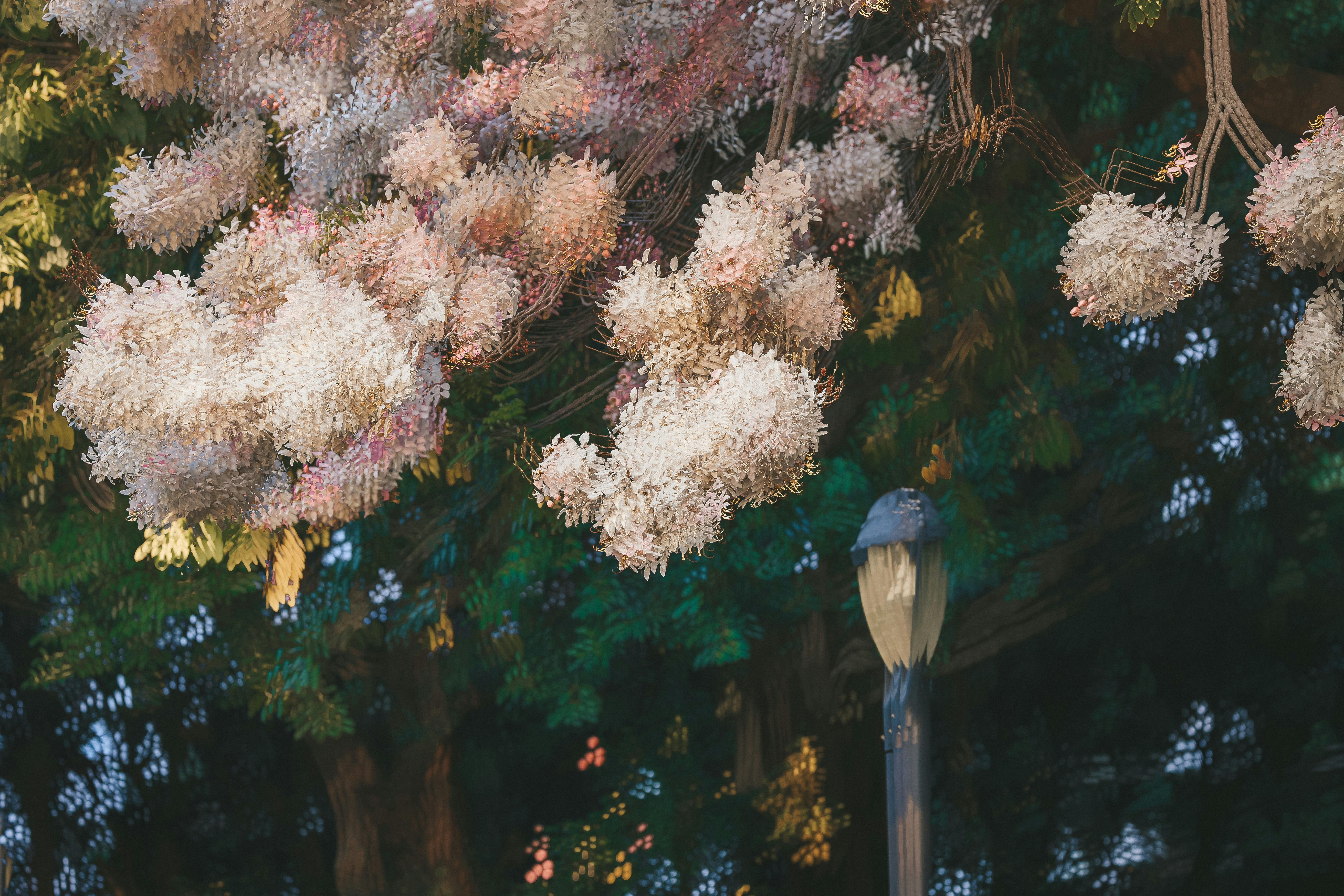 Soft pastel blossoms under dappled shade, with a lantern in the garden hush