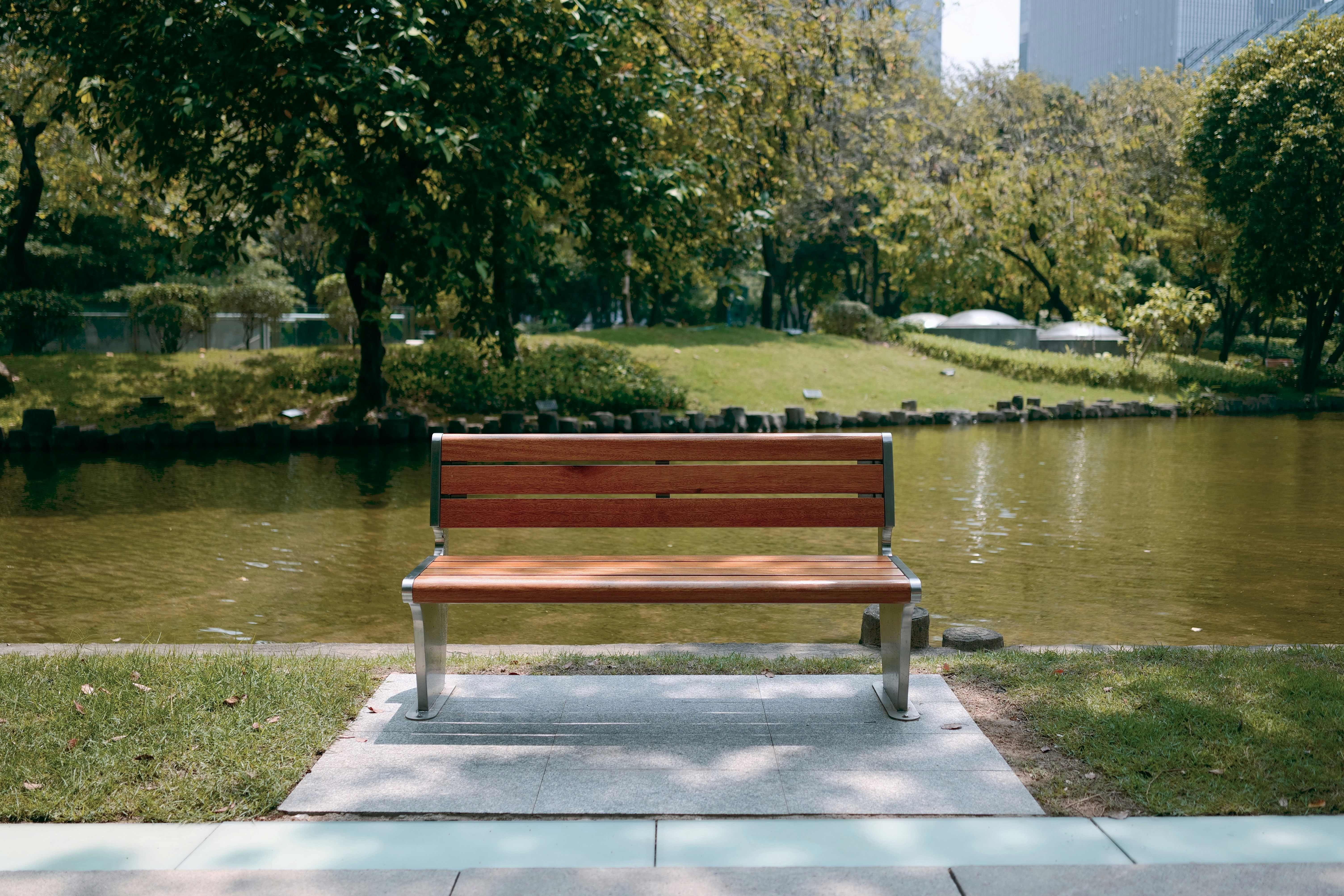 Bench by the Pond: Quiet Geometry in a Sunlit Park