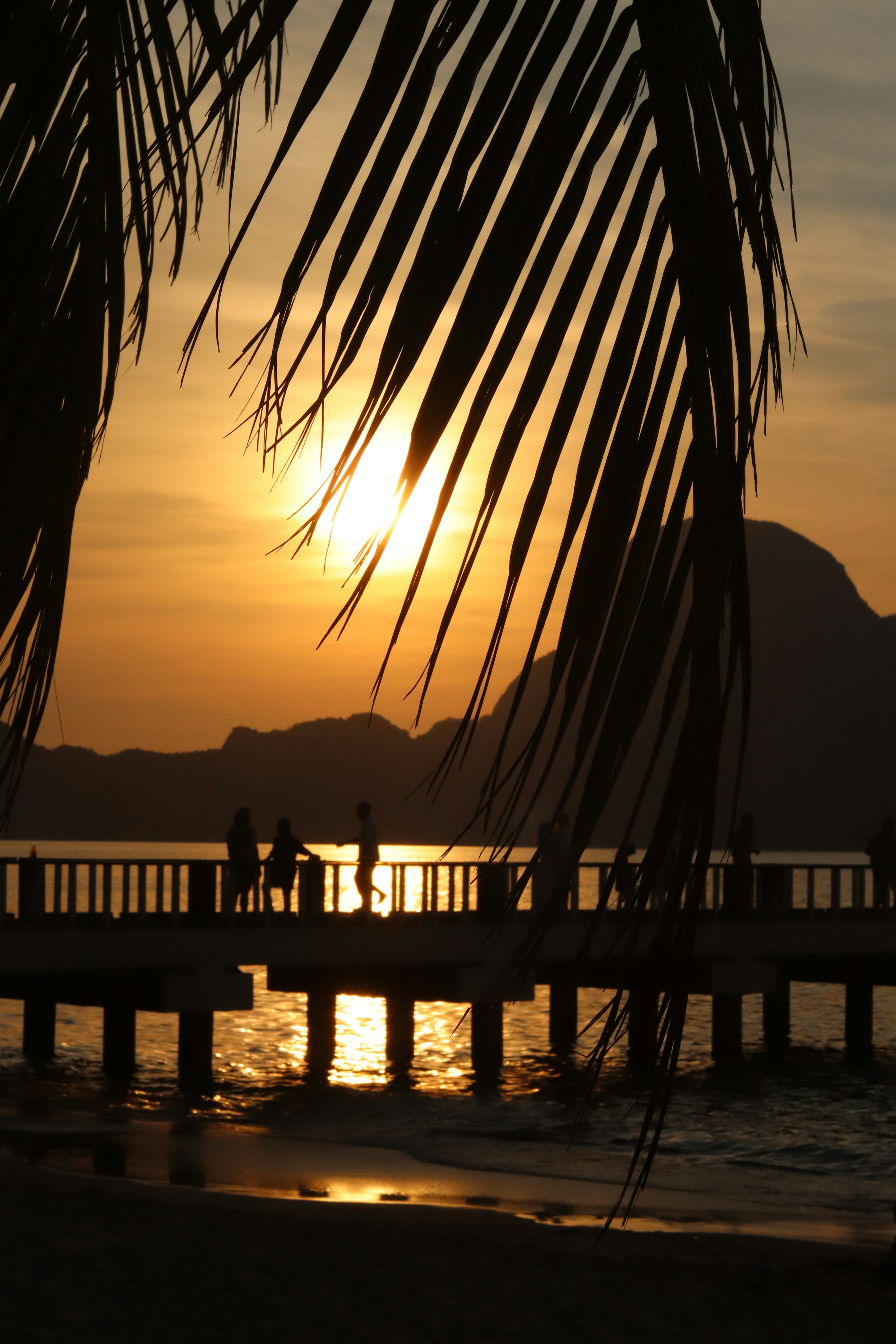 Sunlit silhouettes on a palm-fringed pier at golden hour