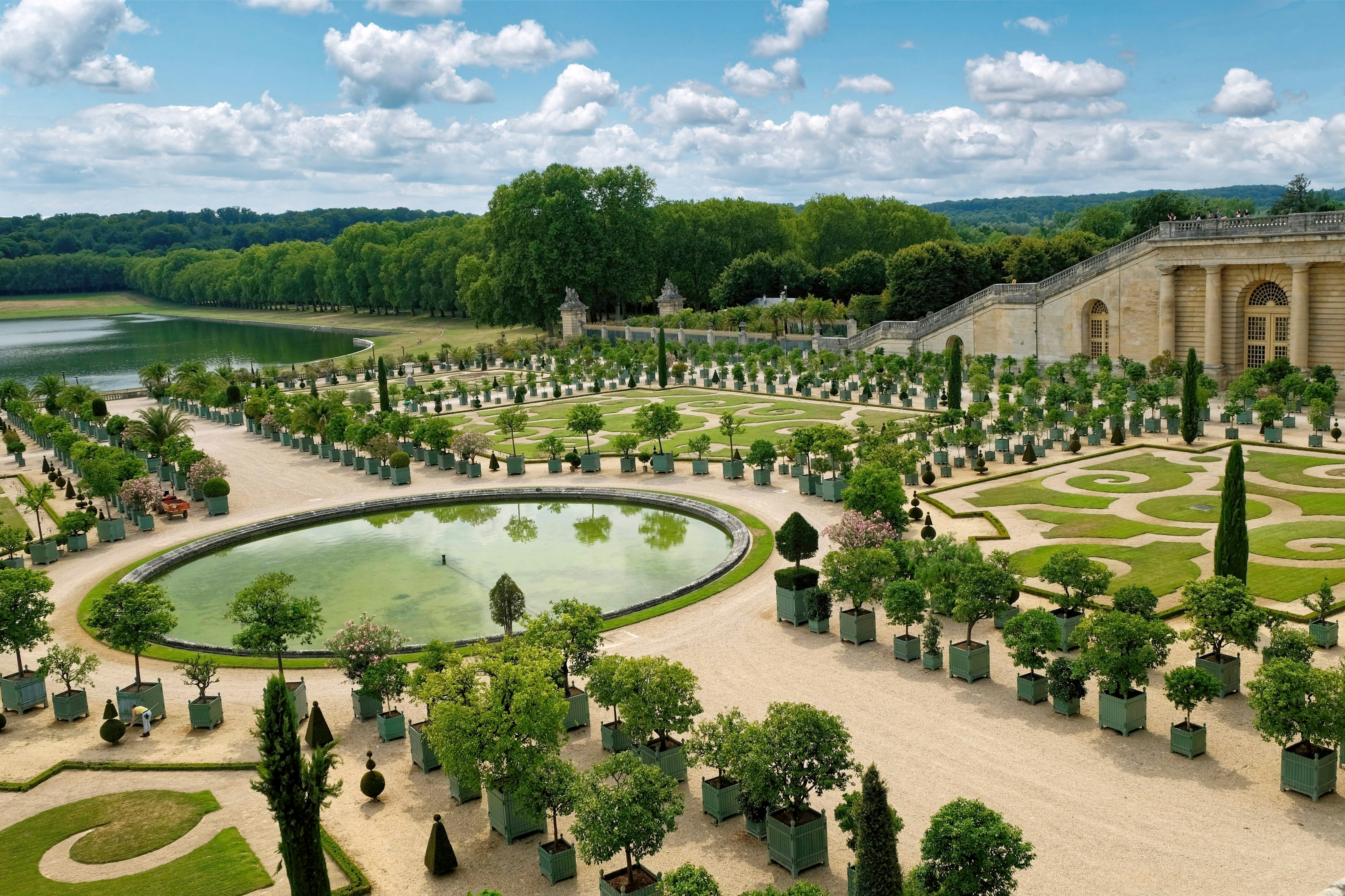 Formal Garden Symphony: Symmetry, Trees, and Reflections in Versailles-like Terraces
