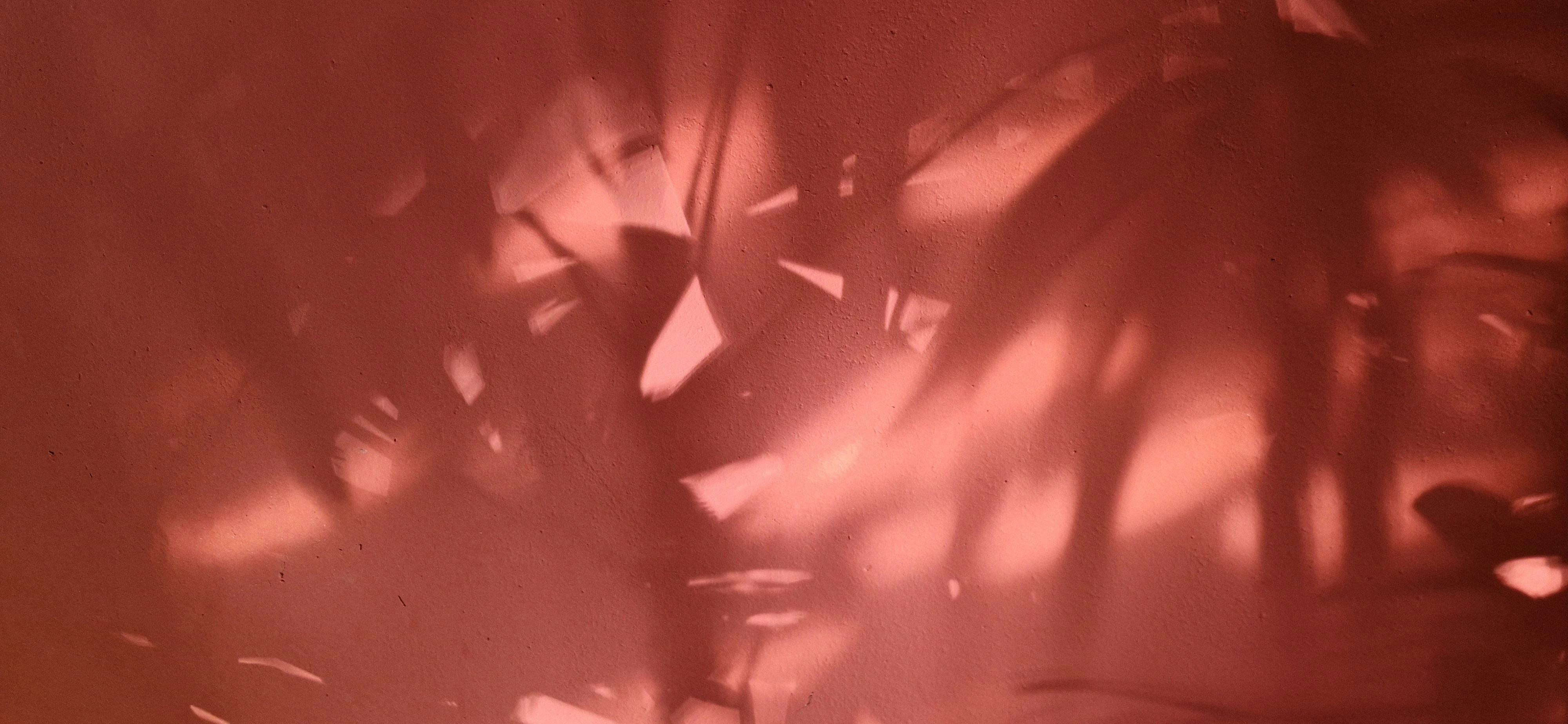 Crimson Veil: Subtle Leaf Shadows in Warm Glow