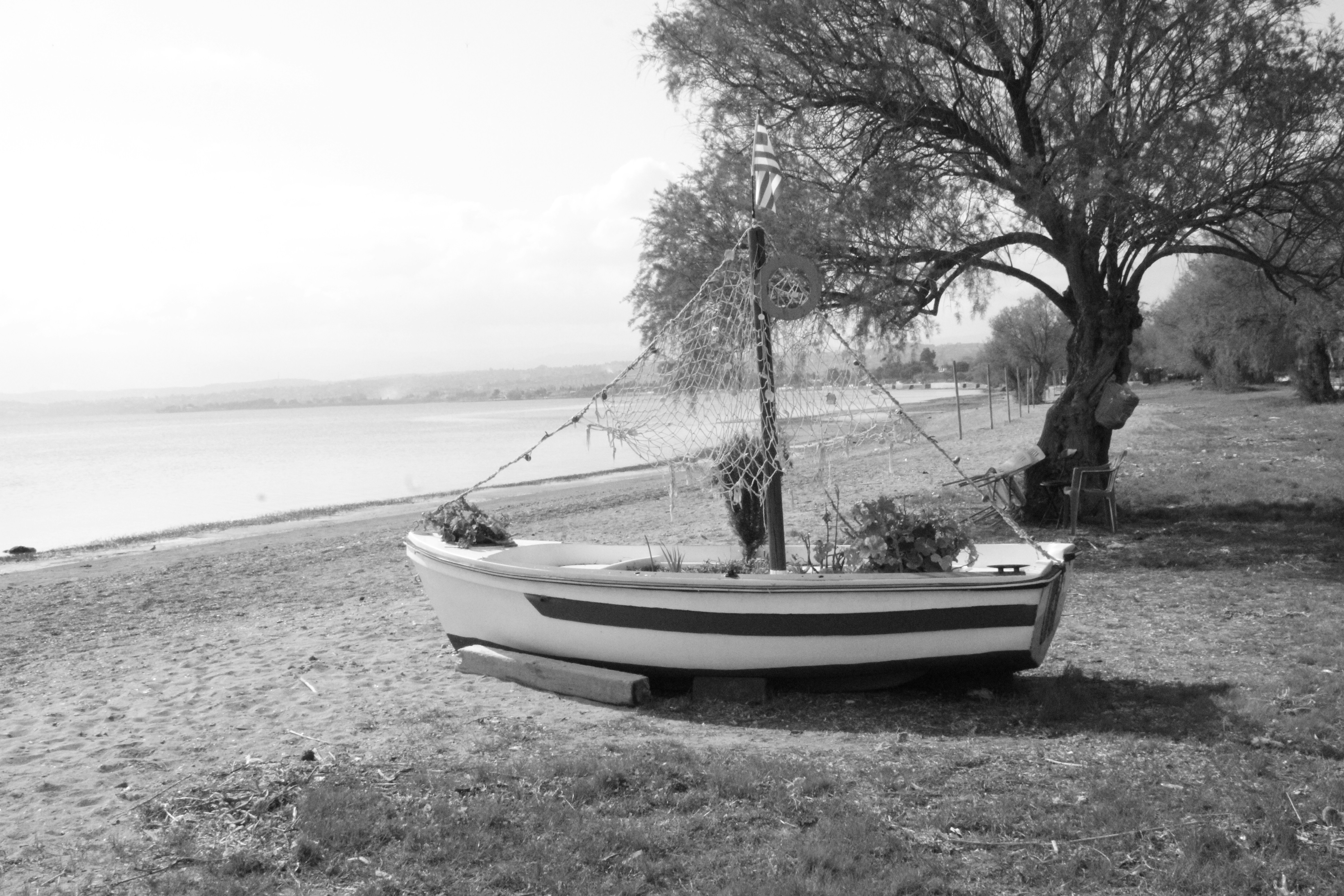 Boat on a Quiet Shore under a Distant Tree