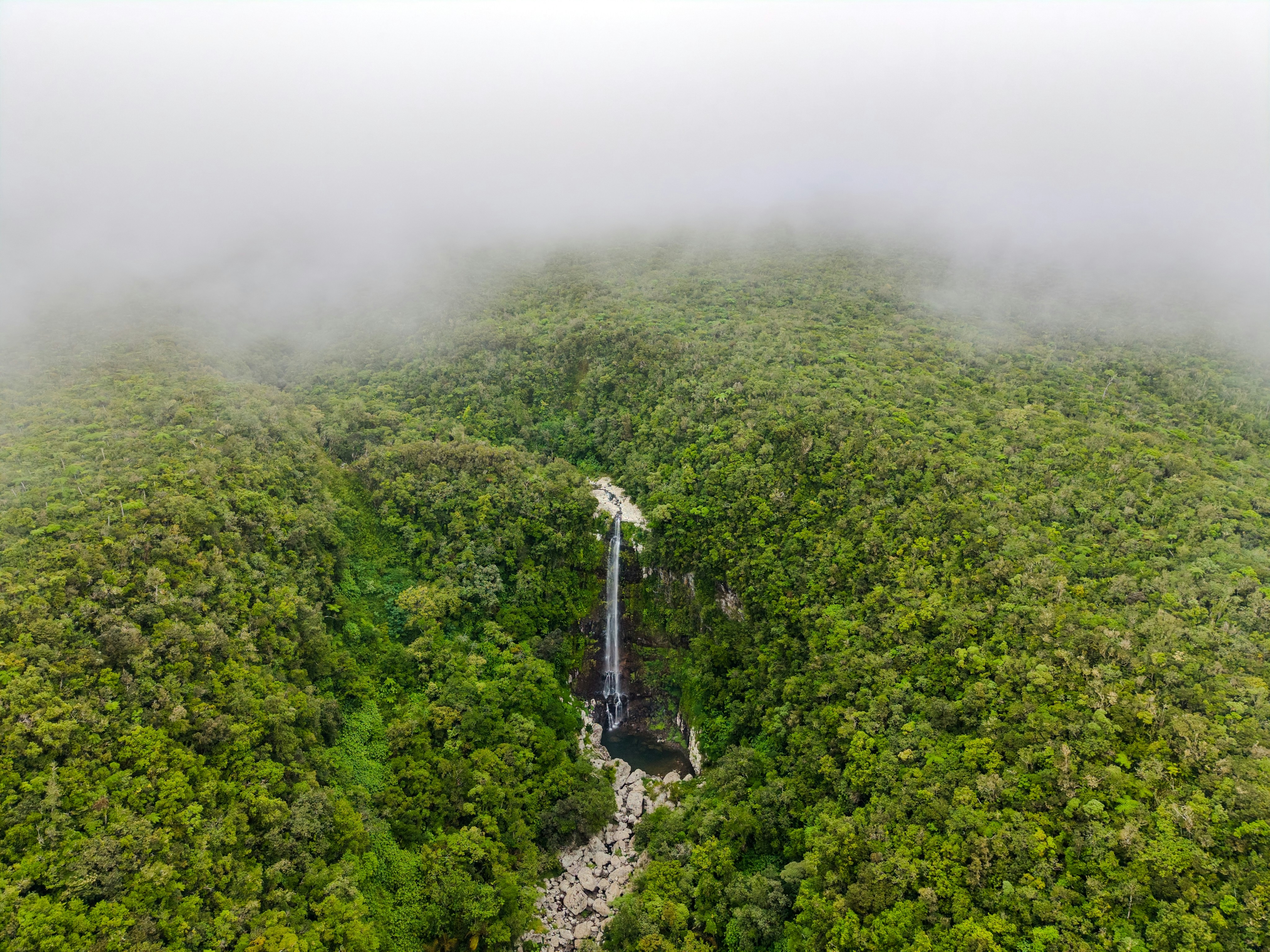 Veiled Cascade: A Cliffside Fall Hidden in Green Majesty