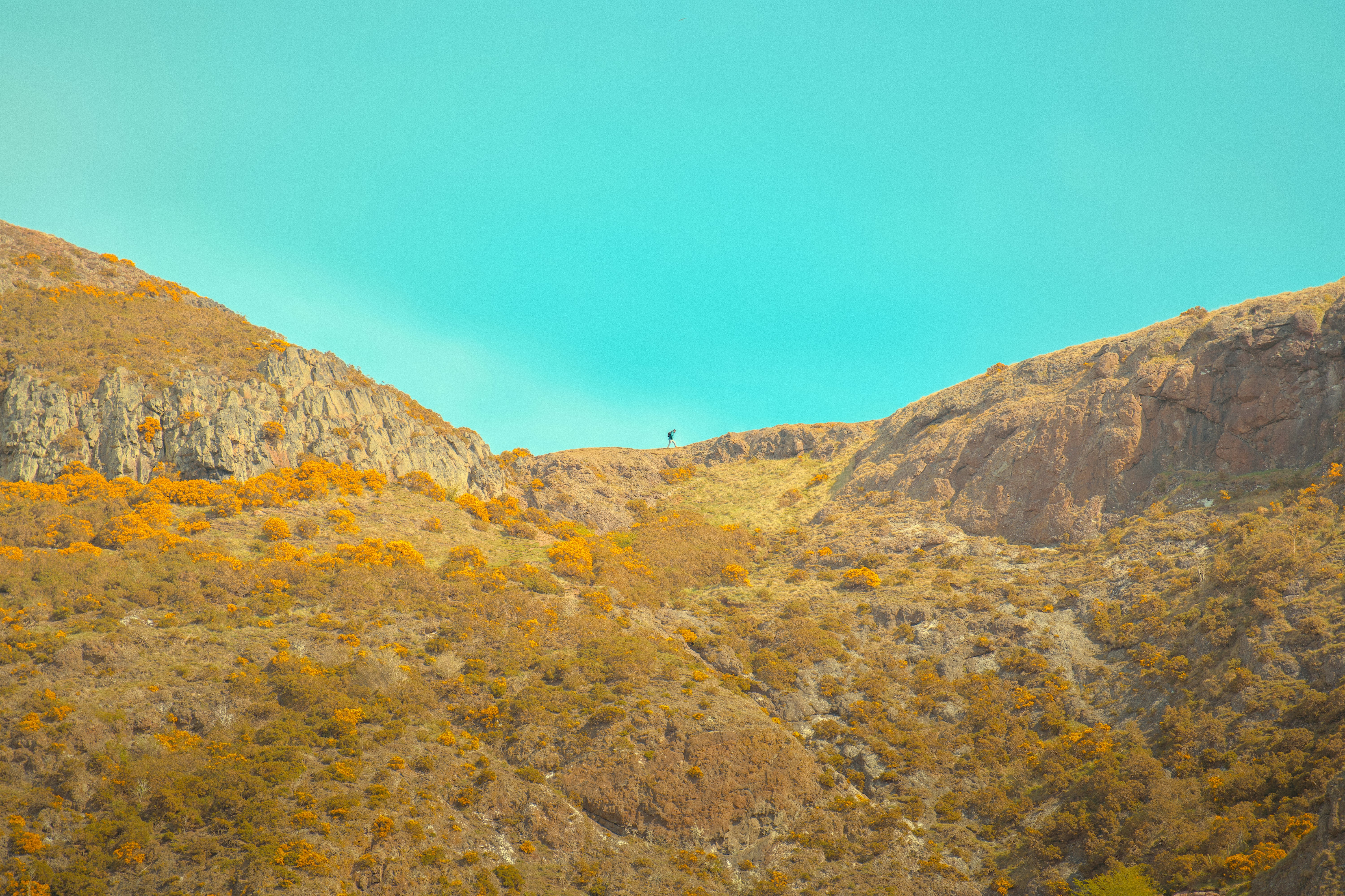 Midhill Crest: Lone Silhouette Above a Golden Slope