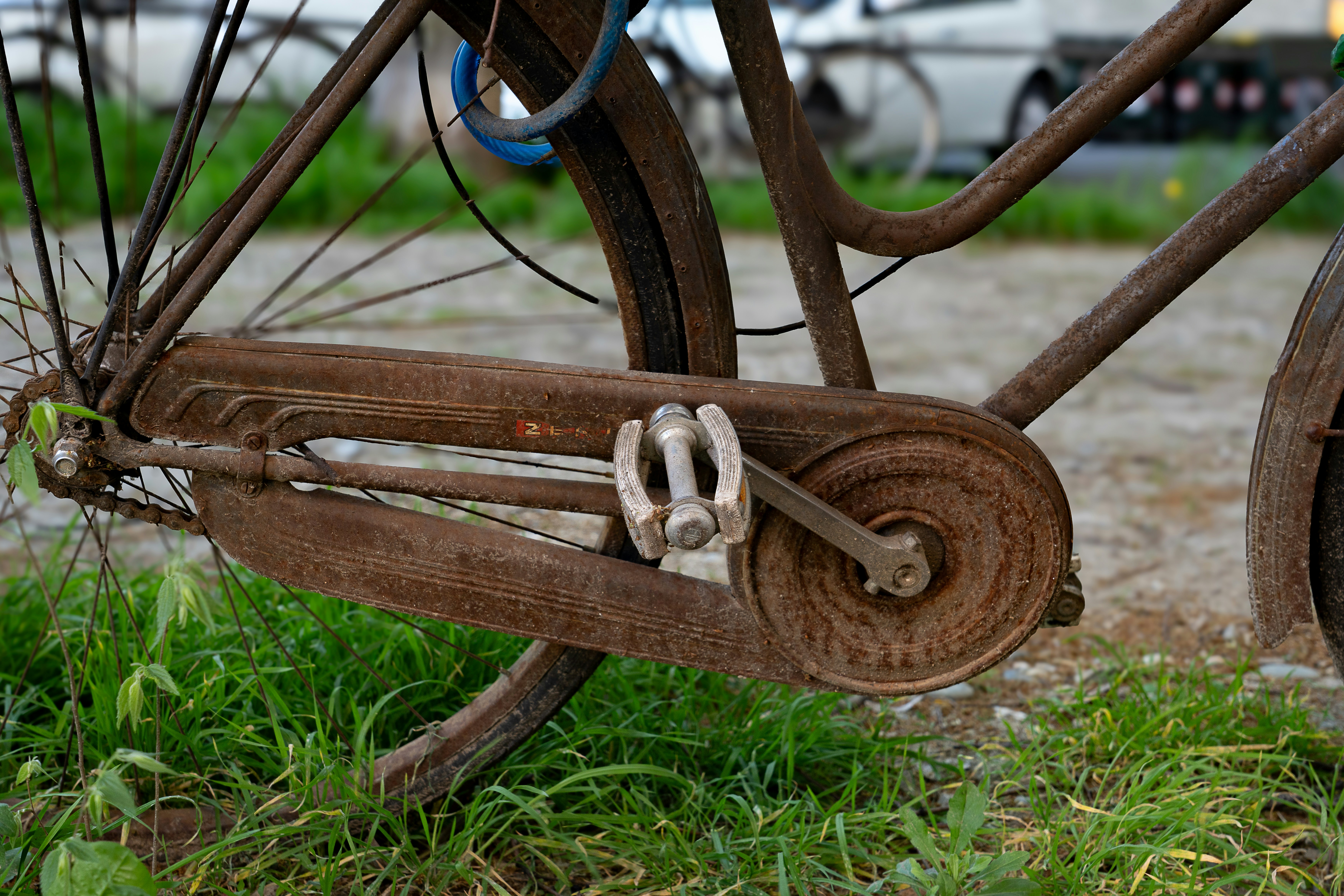 Rusty Pedal, Green Grass: A Bicycle's Quiet Repose