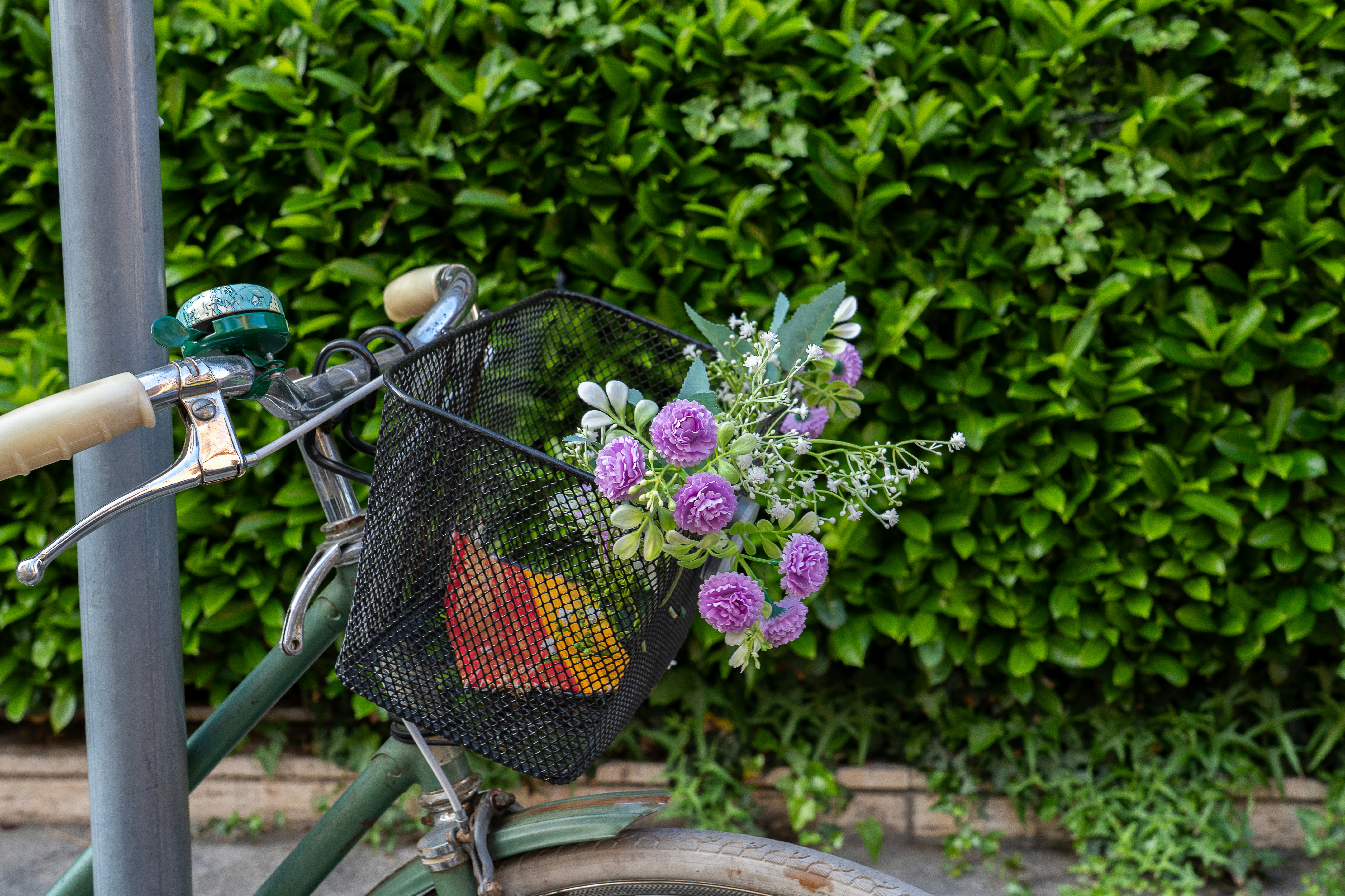 Floral Basket on a Quiet Bicycle
