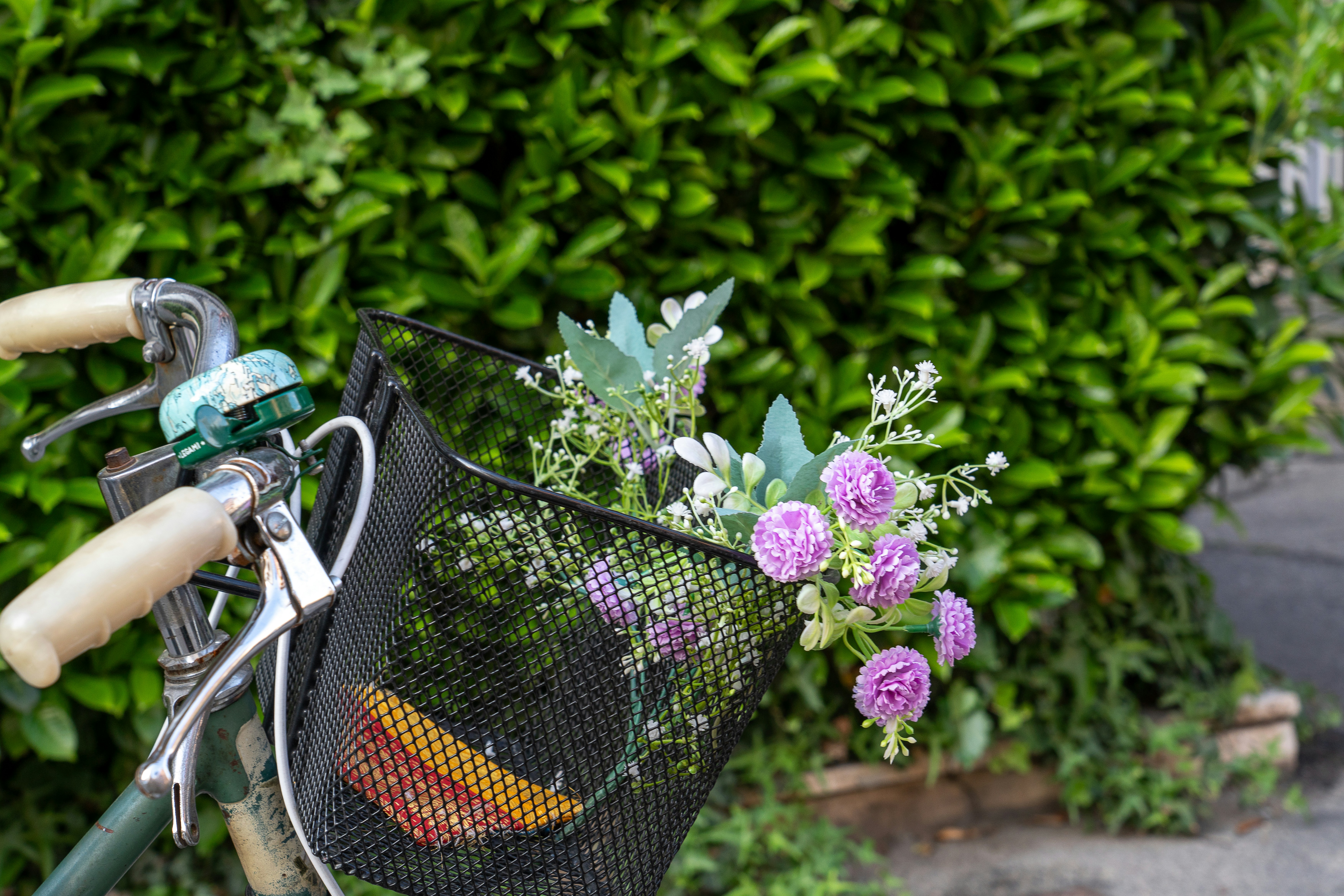 Blooming Basket on a Bicycle: A Quiet Morning Ride