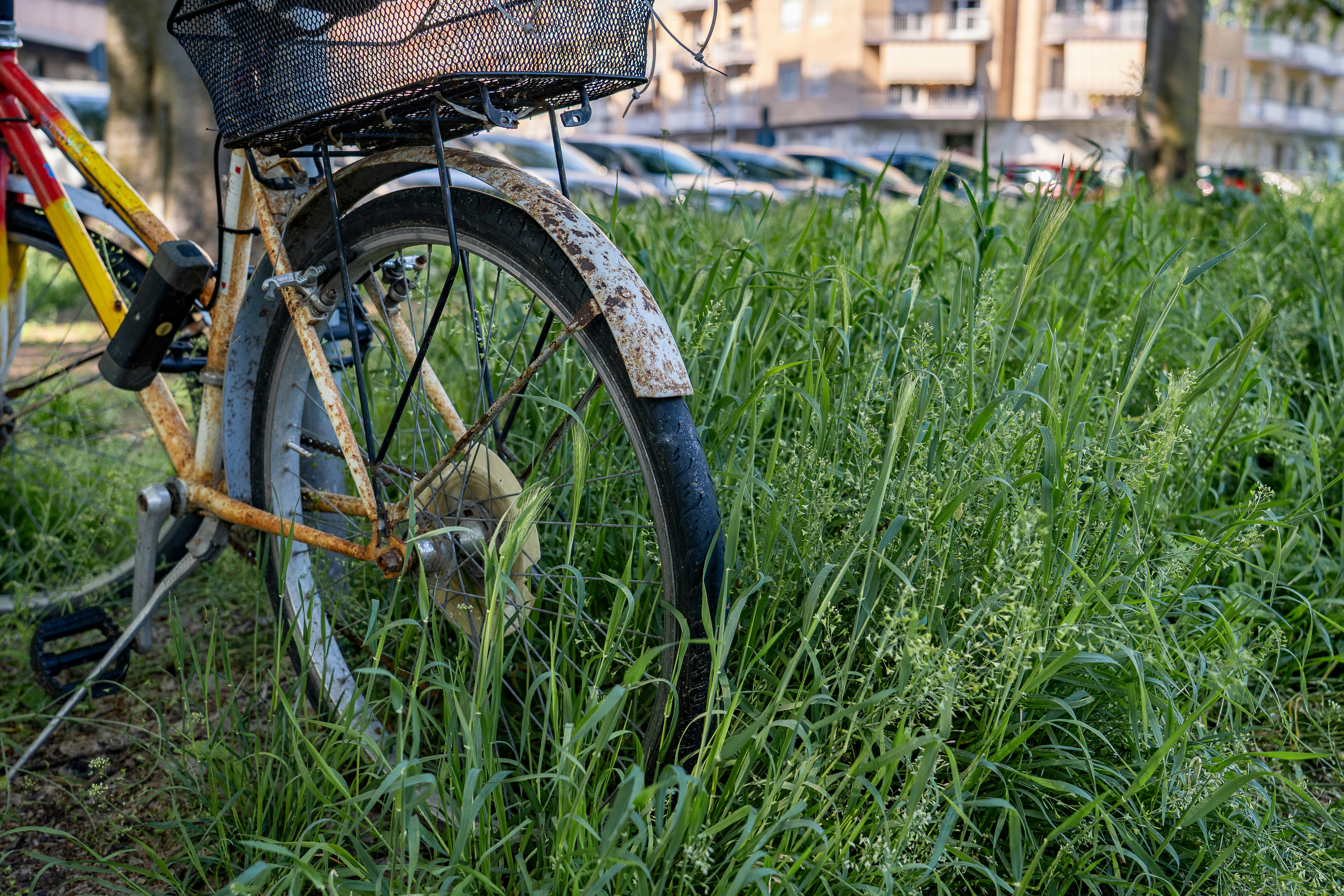 Rust and Grass: A City Bike Resting in a Sunlit Patch