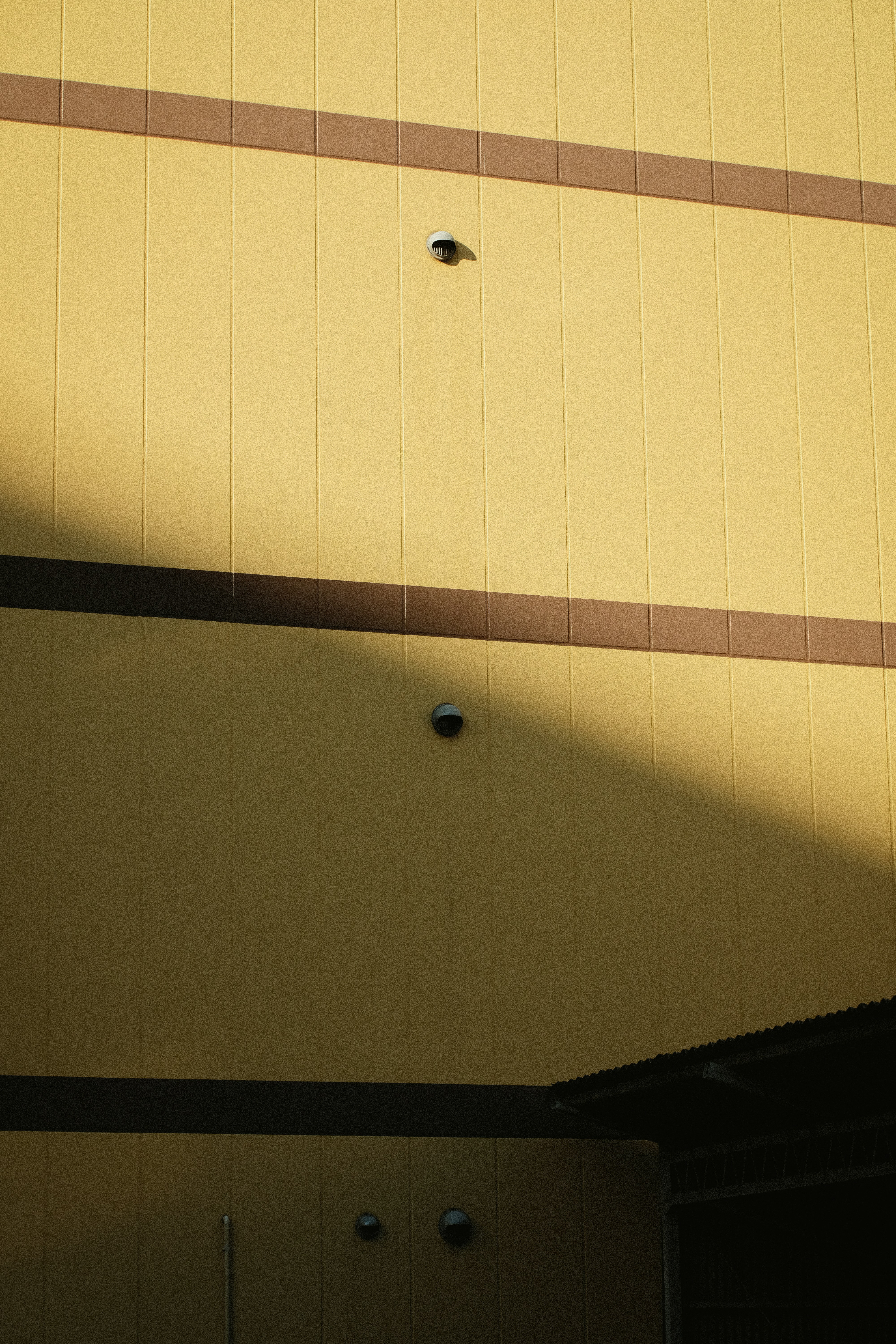 Sunlit Facade Portrait