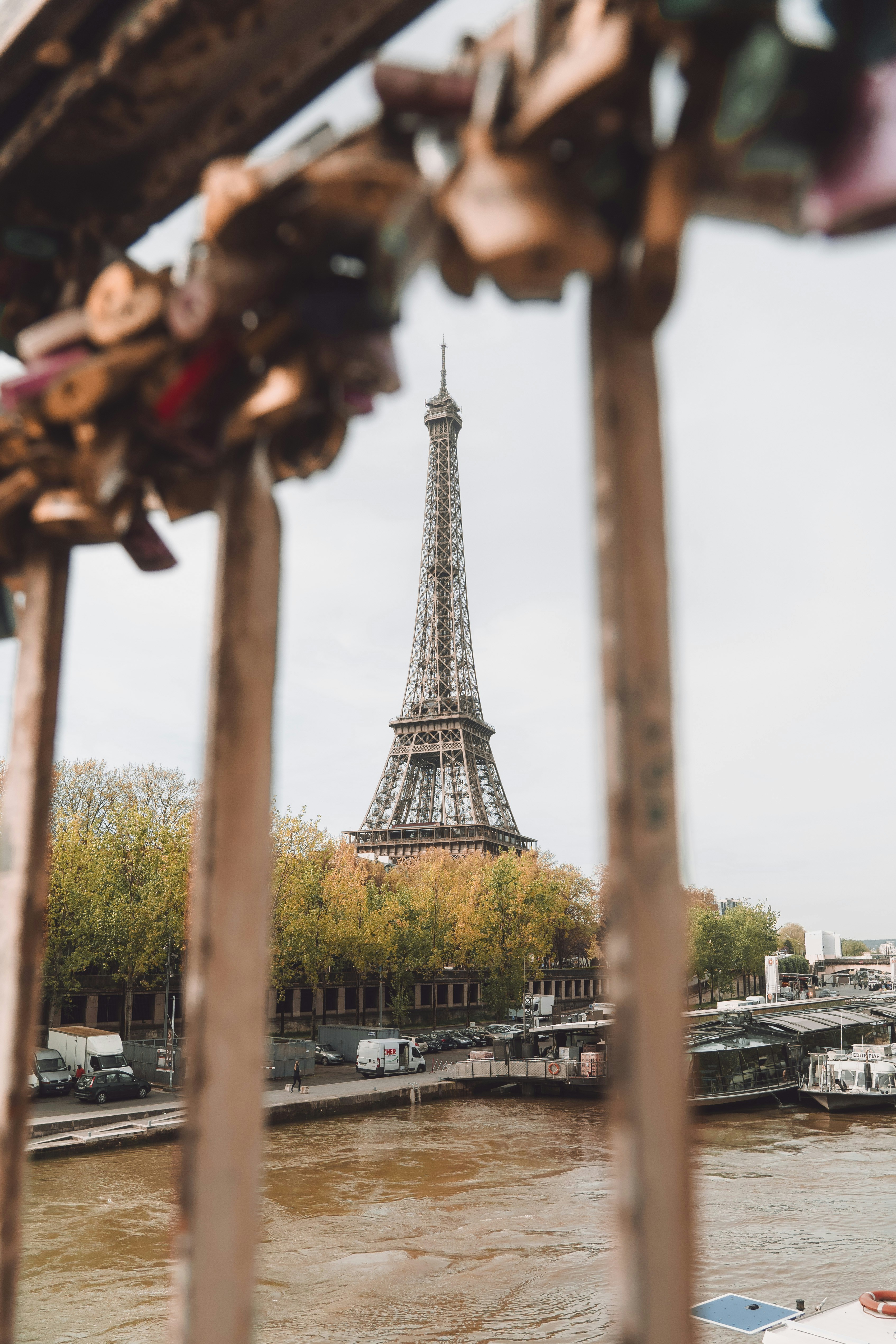Eiffel Tower Framed by a Rustic Lattice