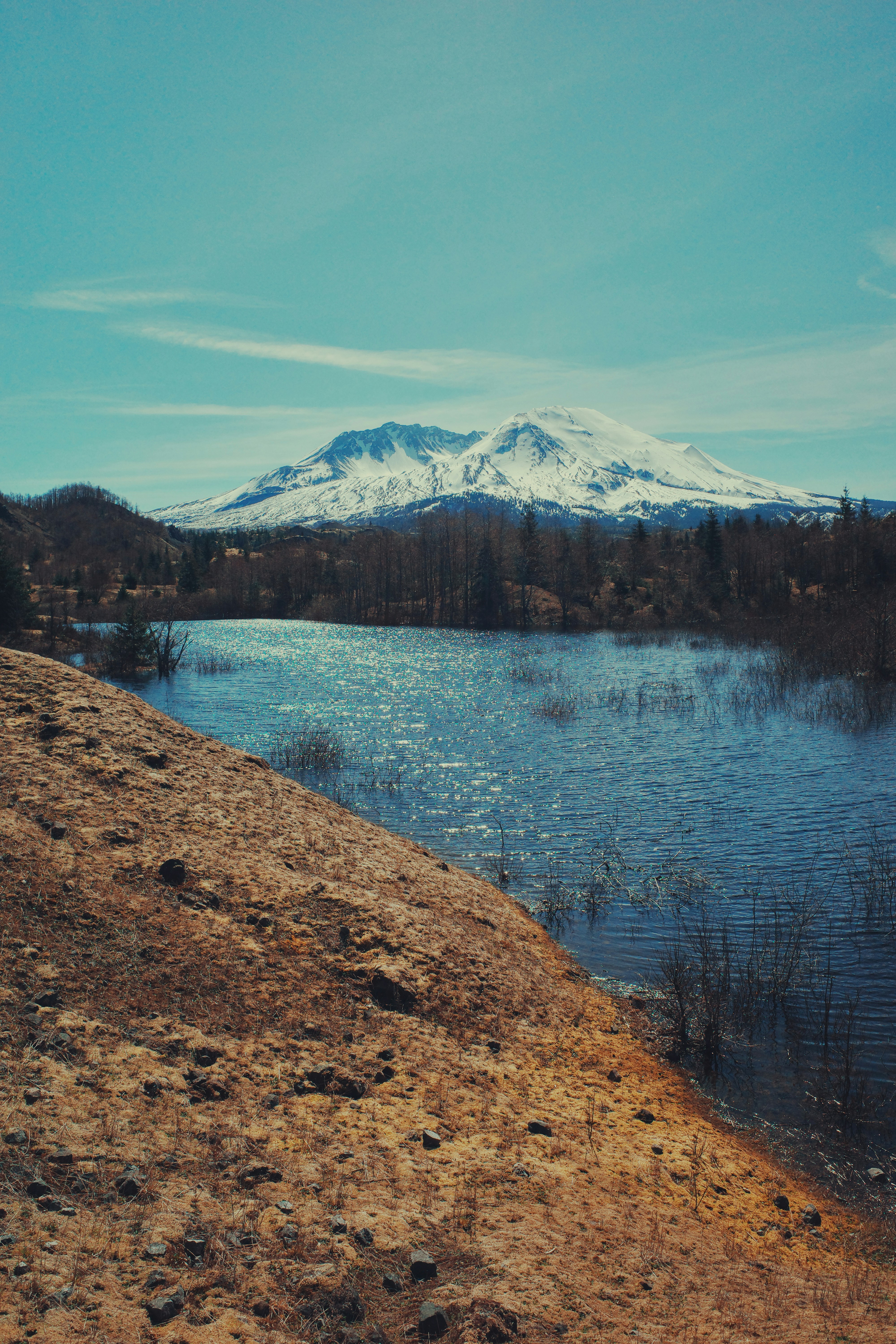 Snow Crown over Quiet Waters: Mountain, Lake, and Shoreline