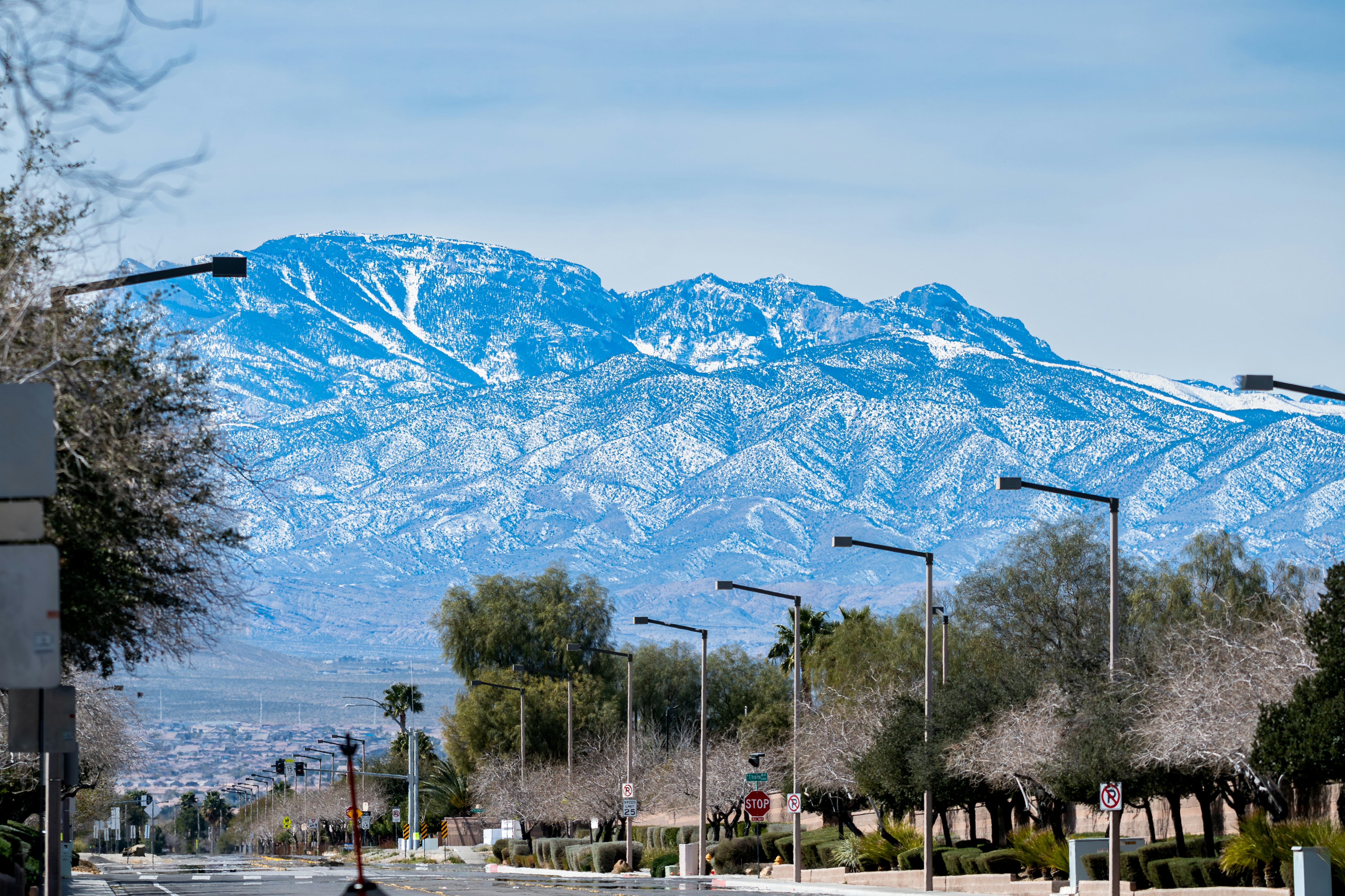 Snow-Capped Peaks over a Quiet Suburban Boulevard