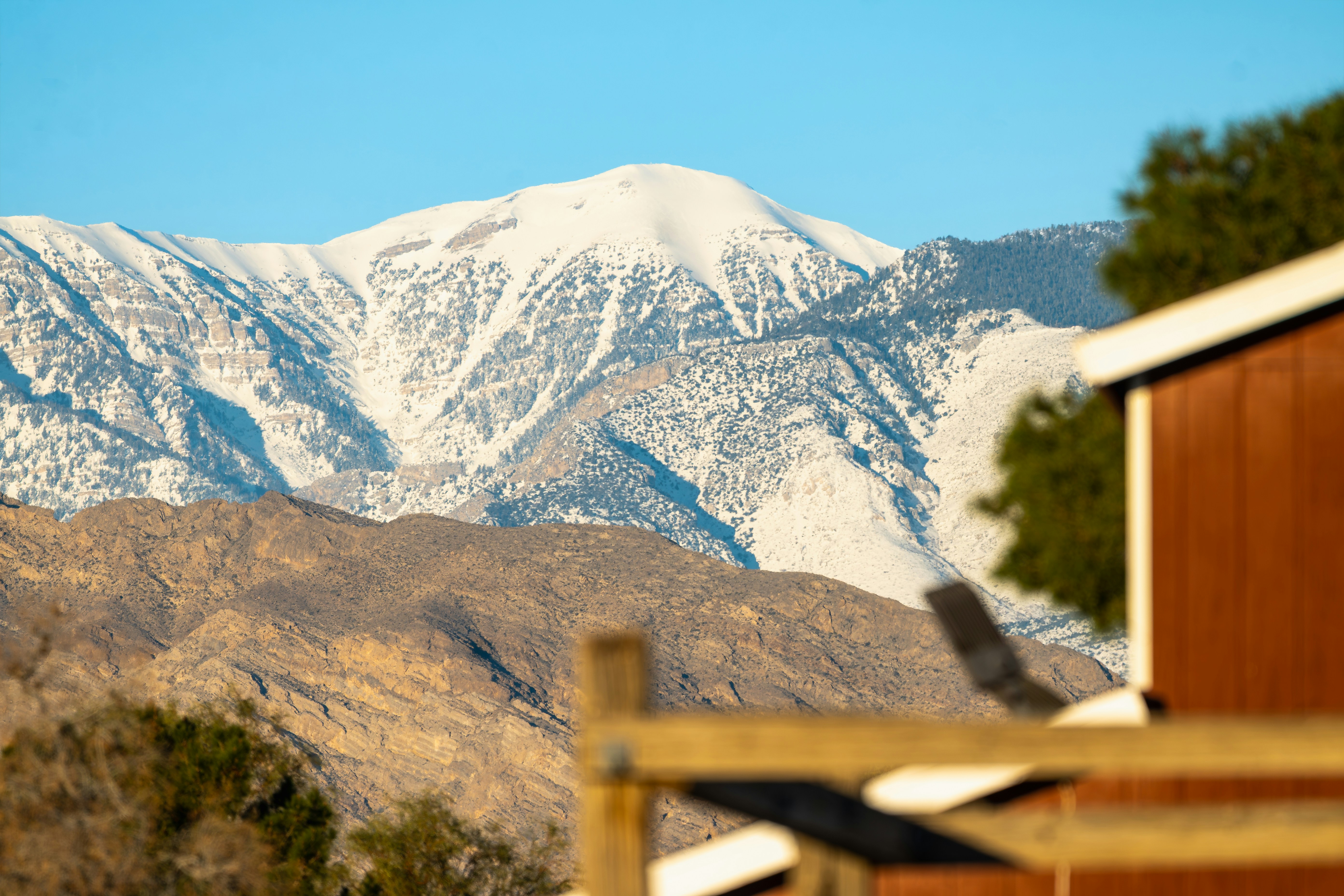 Snow-capped Summit over a Rustic Foreground