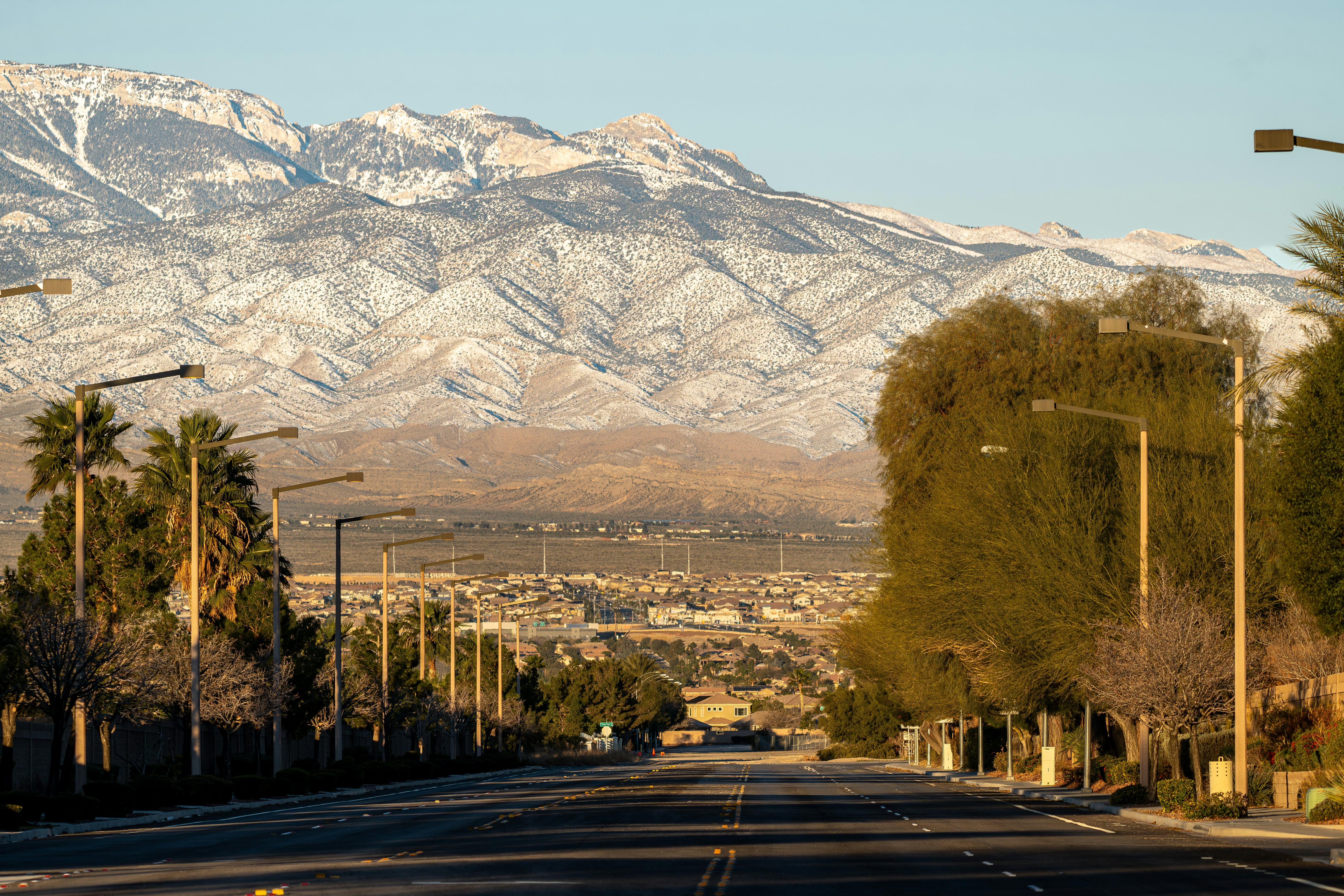 Snow-capped mountains over a sunlit boulevard