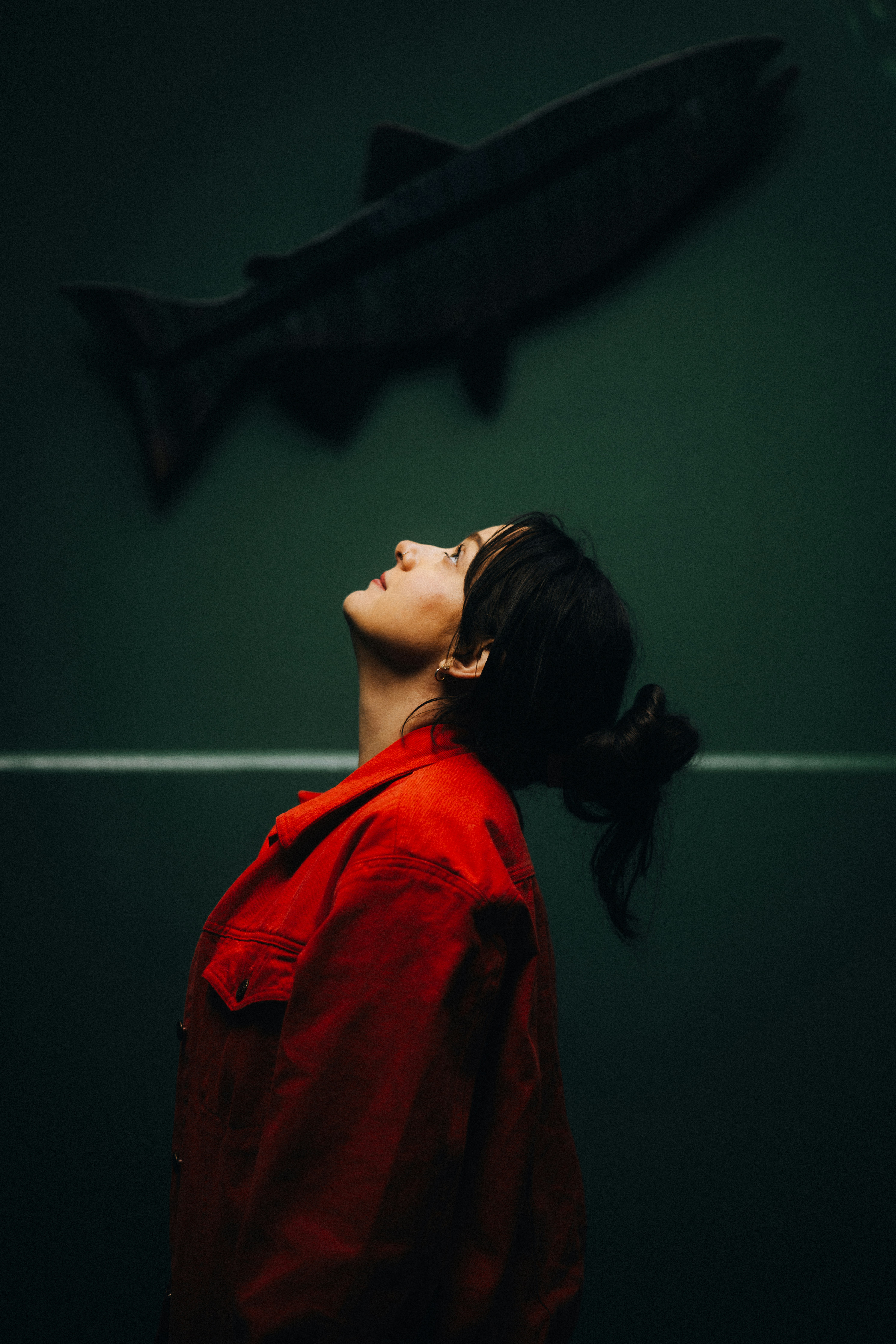 Crimson Red: Woman in Profile Beneath a Silent Leviathan