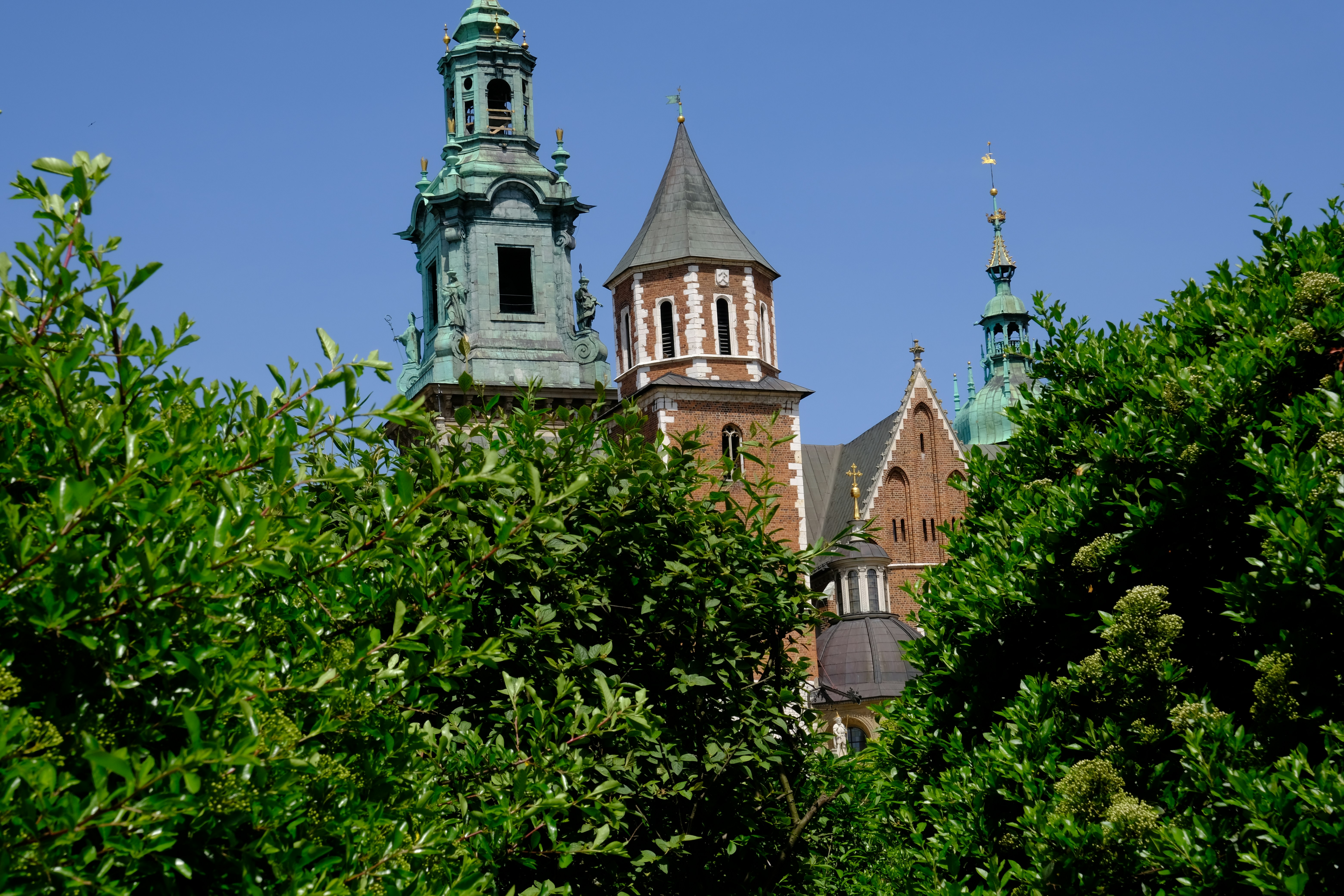 Hidden Spires Above the Green Canopy