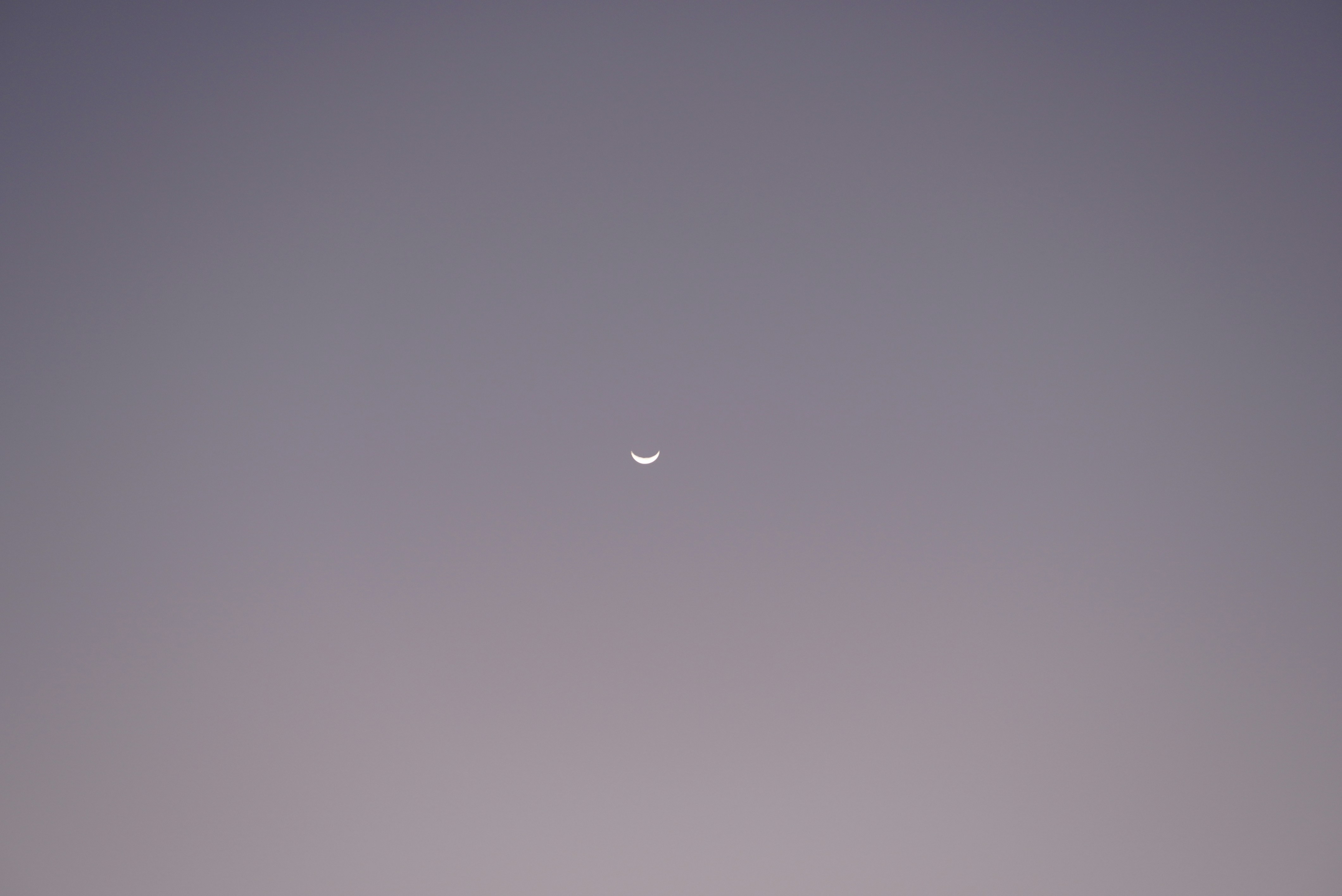 Dawn Crescent: Subtle Moon Wovers Above Quiet Horizon