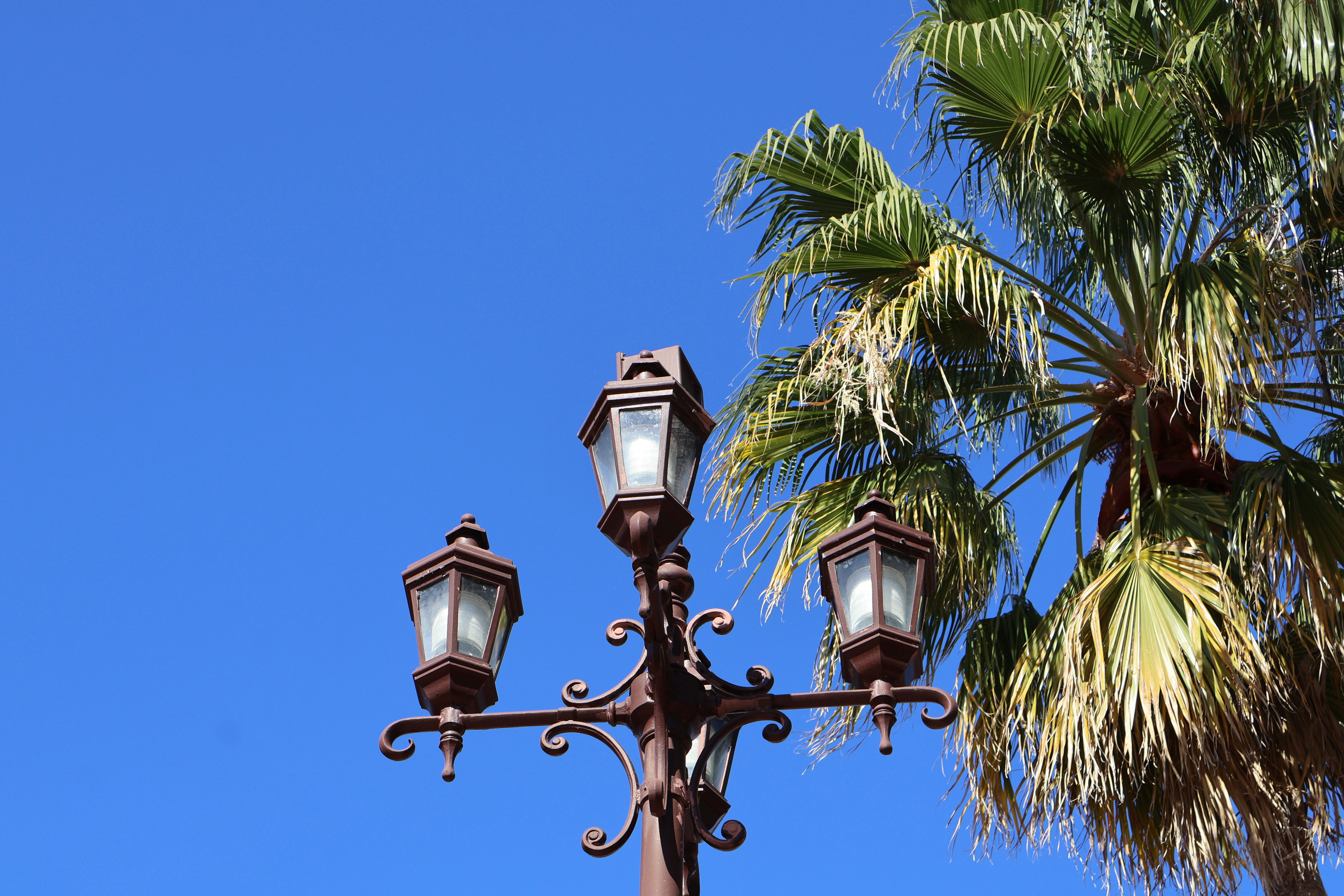 City Lanterns: A Vintage Street Lamp Against a Clear Blue Sky