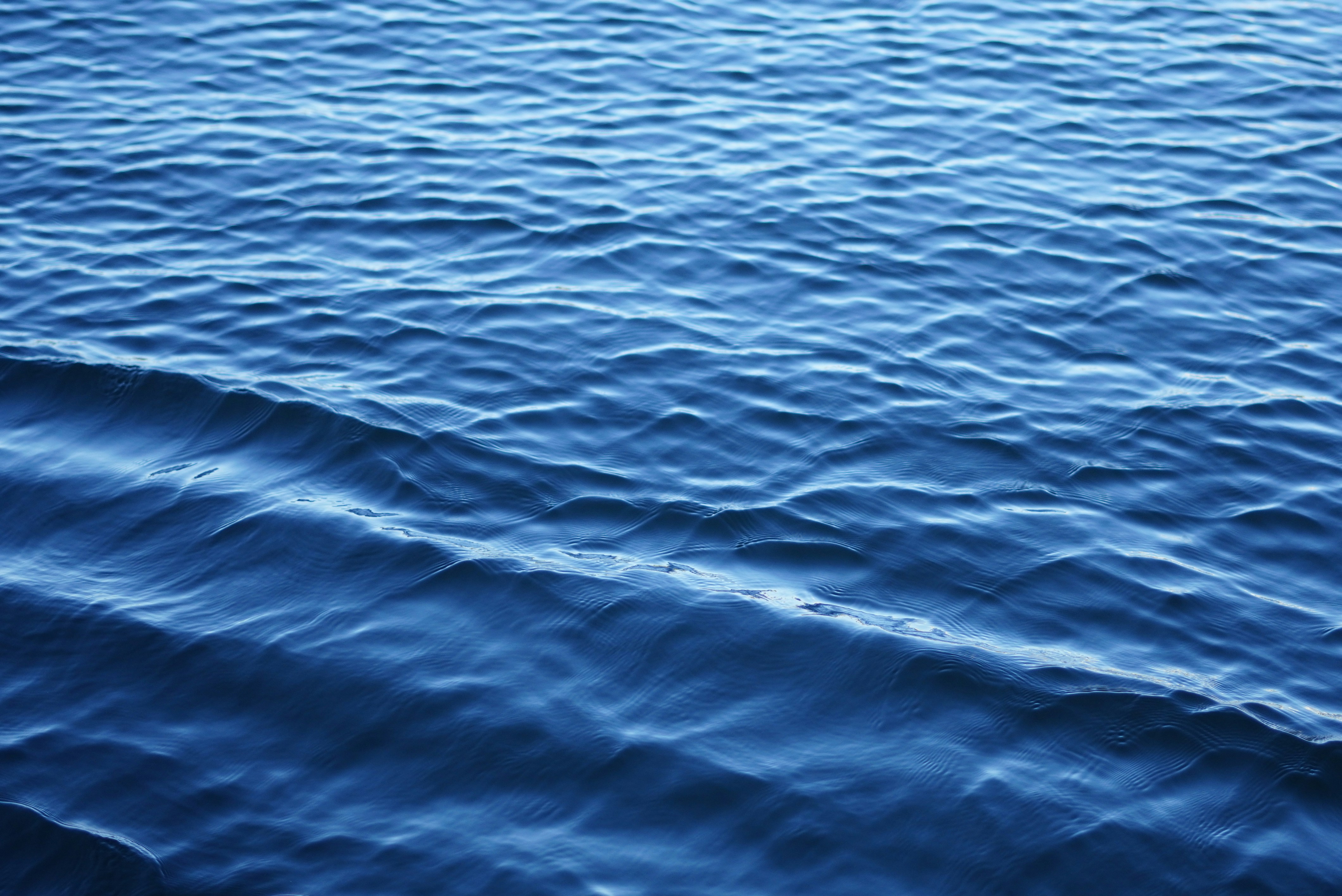 Blue Rhythms: A Study of Ocean Waves in Motion