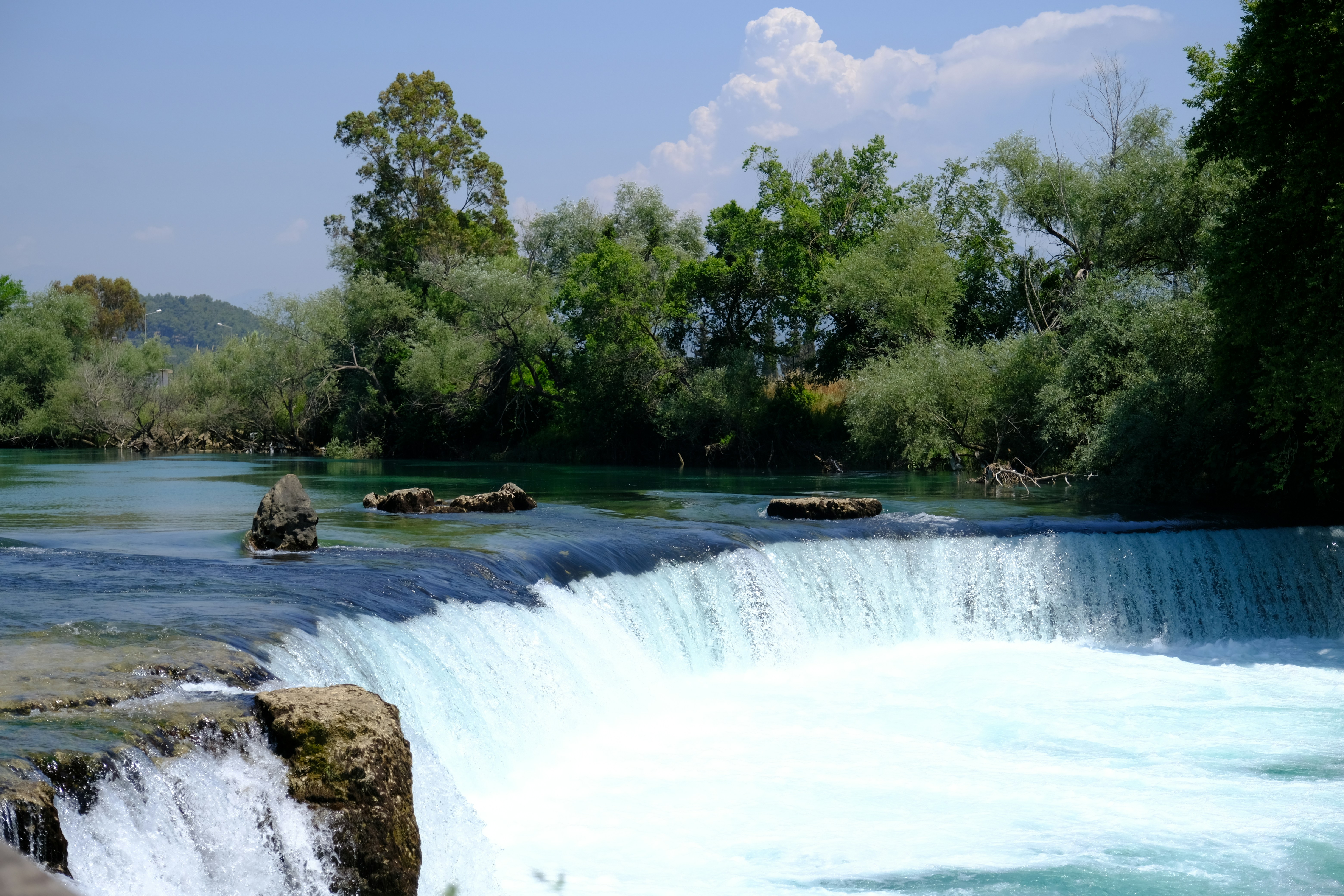 Cascading Blue: A River’s Edge Beneath Verdant Canopy