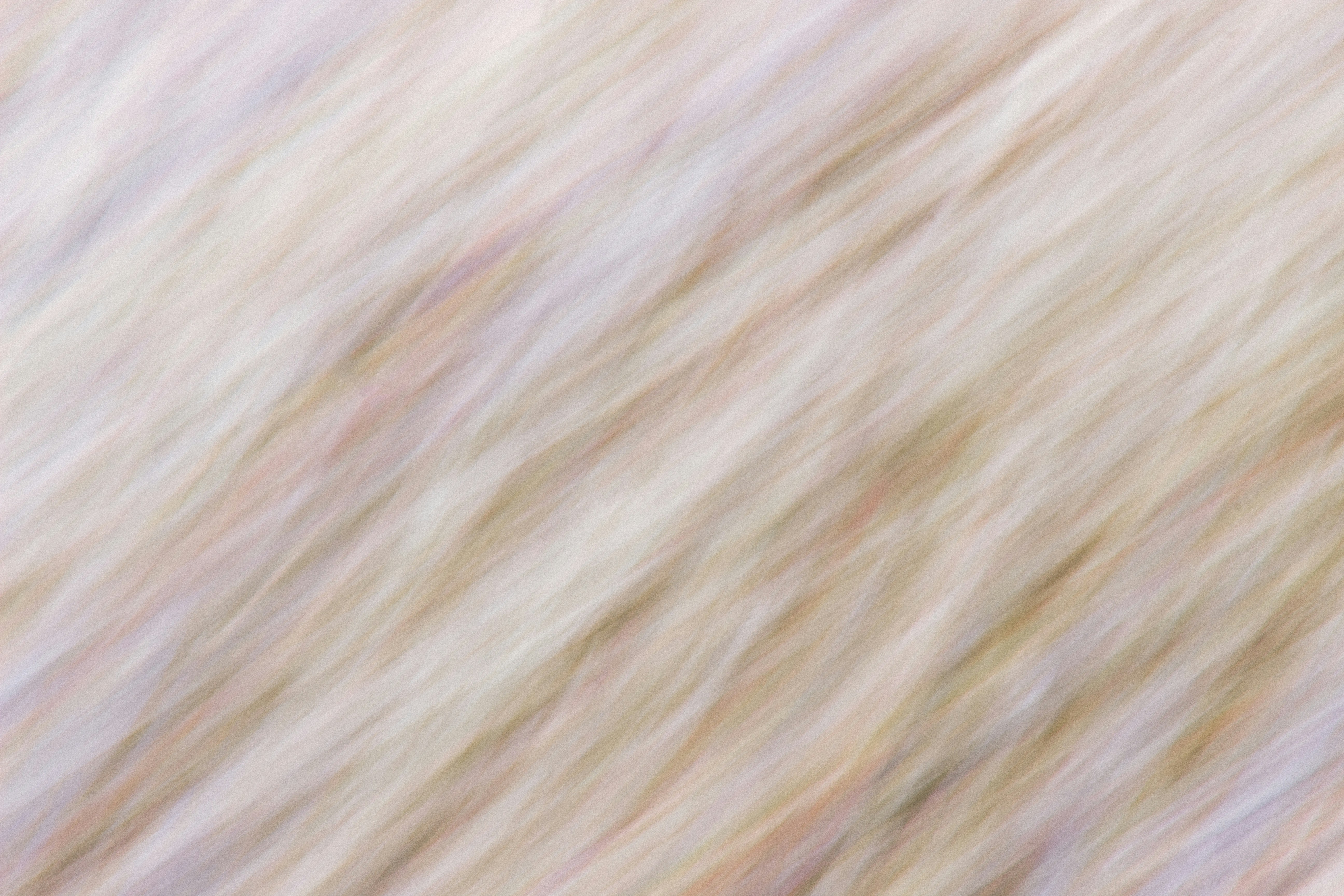 Soft Blur Whisper: Abstract Light Trails Across Grains of Color