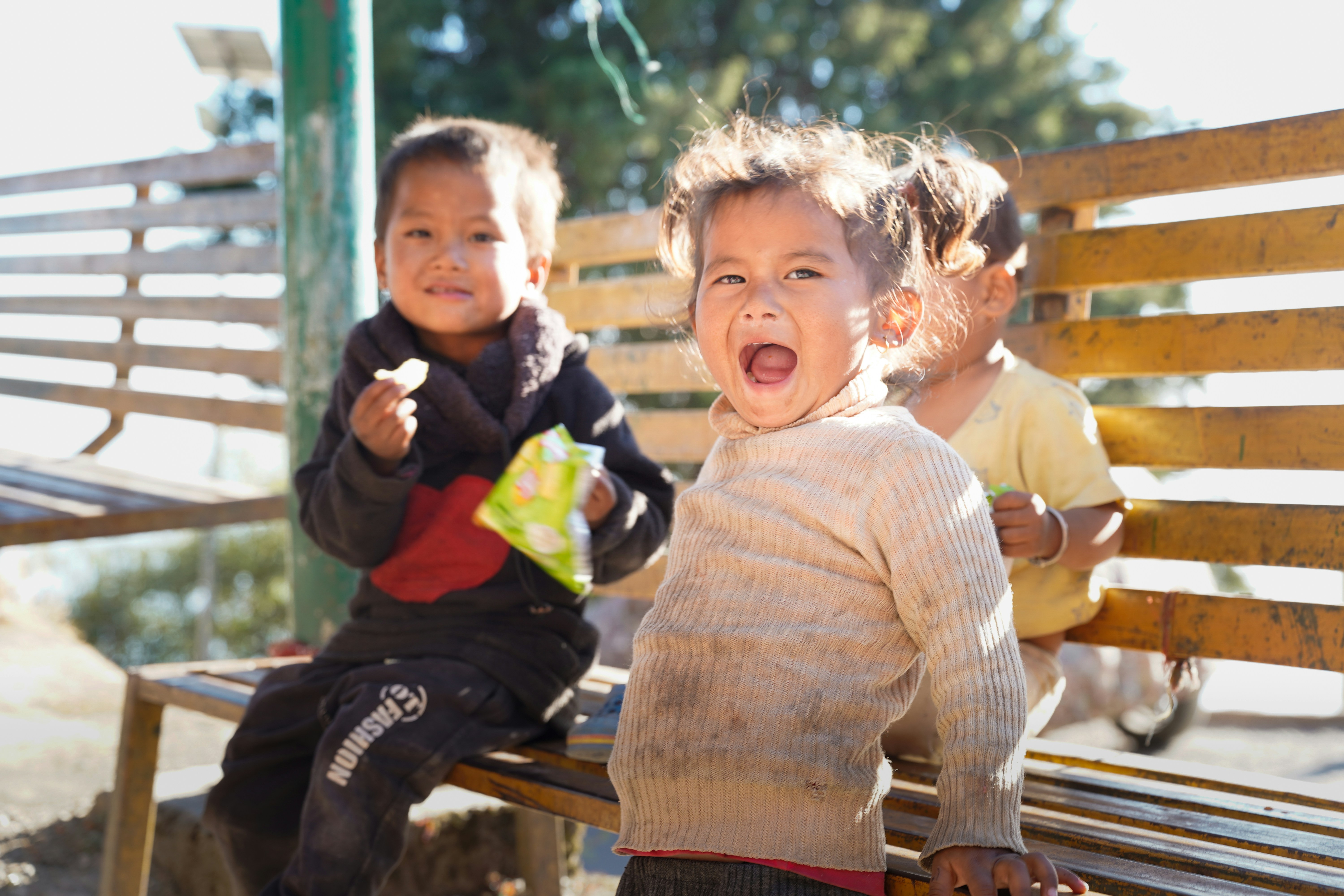 Playful Moment on a Sunny Park Bench