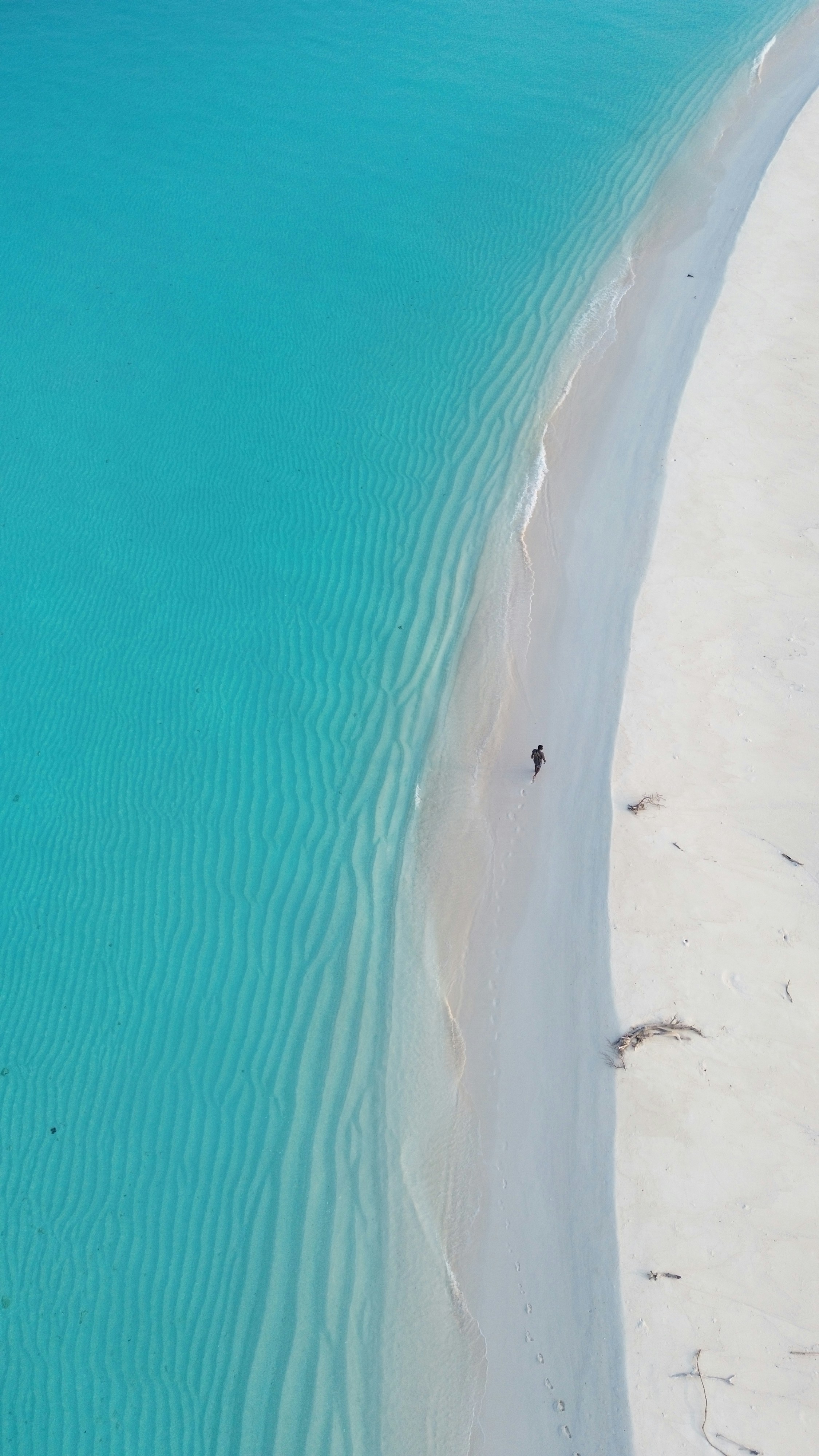 Solitary Traveler on a Turquoise Tidal Edge